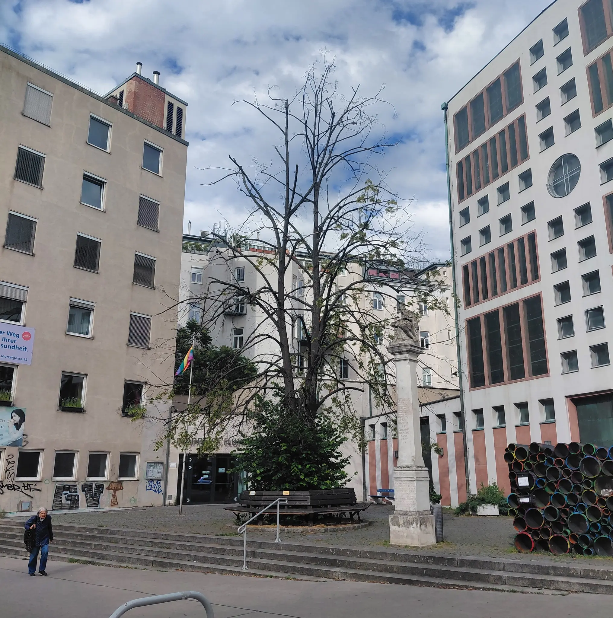 Neuer Baum kostet viel: 40-jährige Linde vor Florianikirche auf Wiedner ...