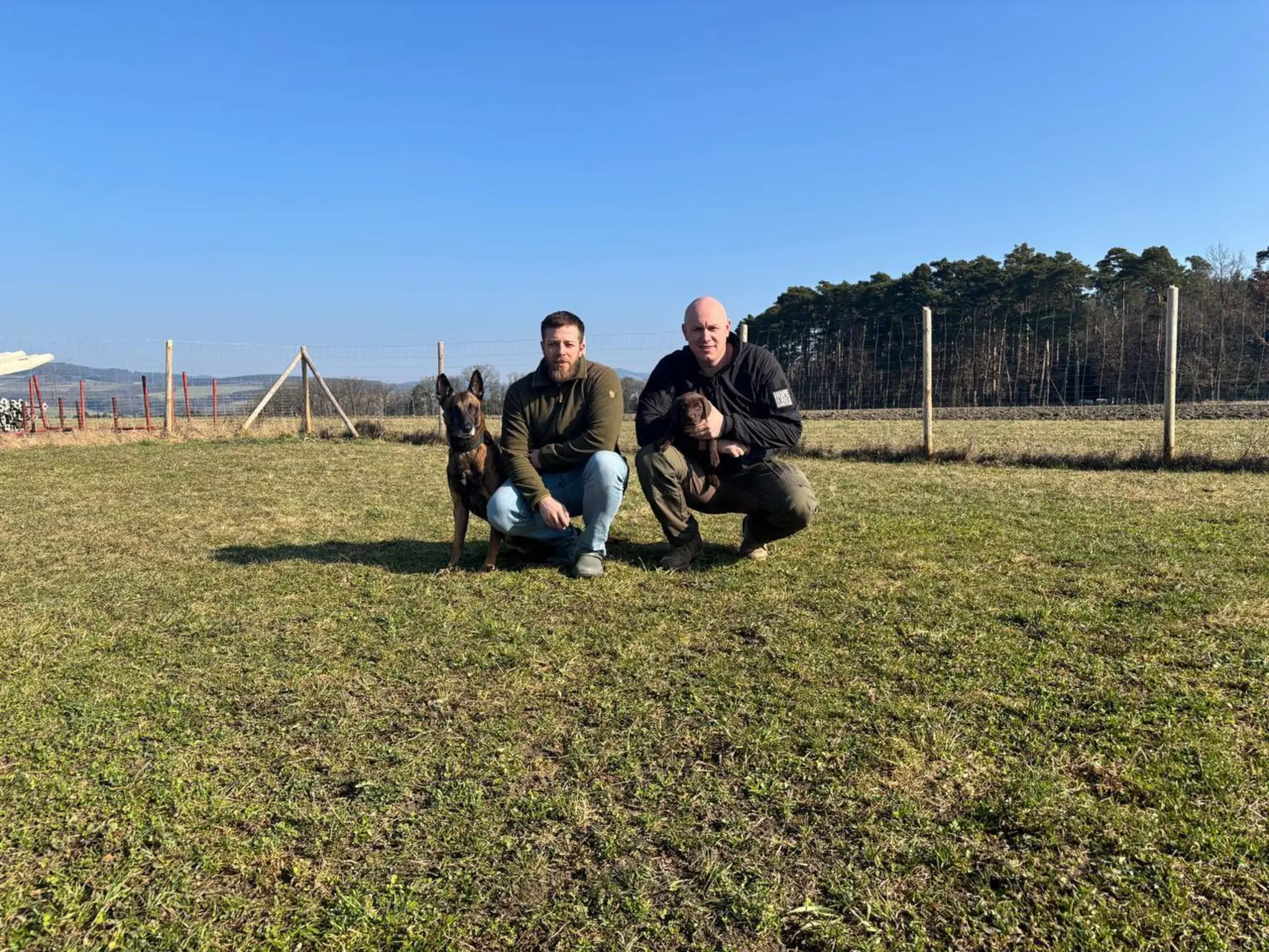 Serie Hundemythen: Kastration hilft nicht bei Verhaltensproblemen - Melk