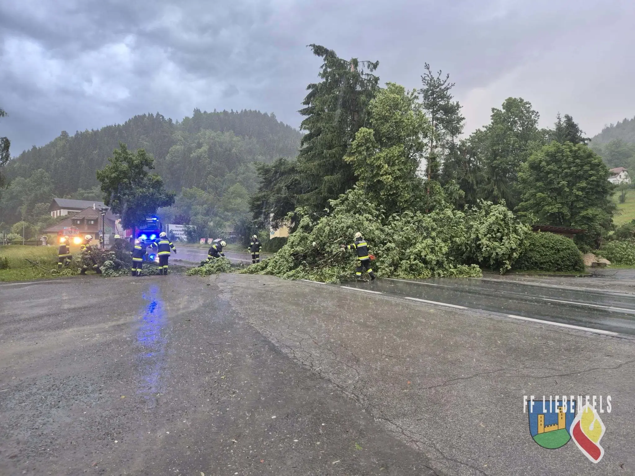 St. Veit an der Glan: Gewitter sorgte für Baumstürze und vielerlei ...