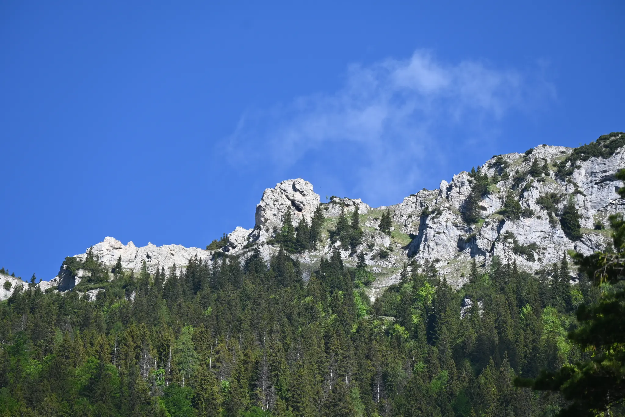 Mein bevorzugtes Wandergebiet: Schöne Rundwanderung am Fuße der Rax vom ...