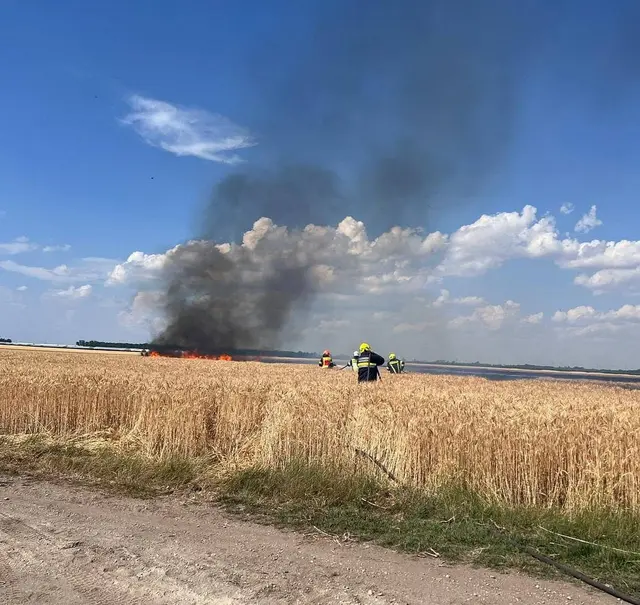 Feuerwehreinsatz: 7,5 Hektar Getreidefeld in Wallern stand in Flammen ...