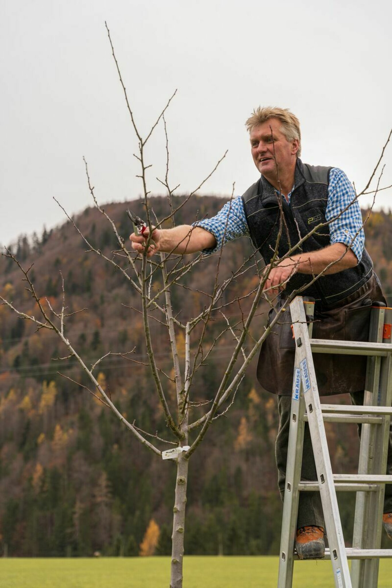 Vortrag Obstbaumpflege im Lagerhaus