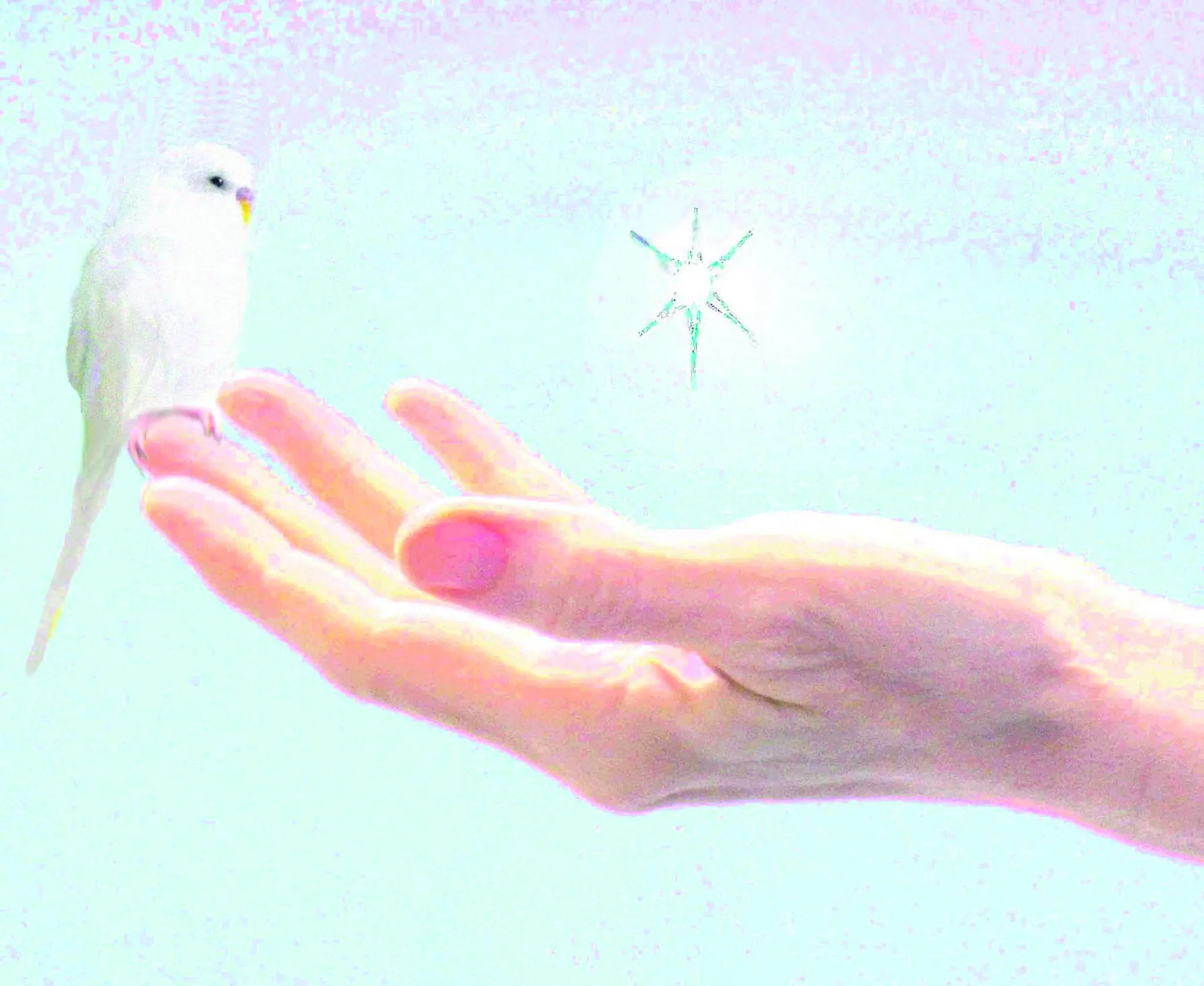 ECKANKAR OFFENES CENTER GRAZ