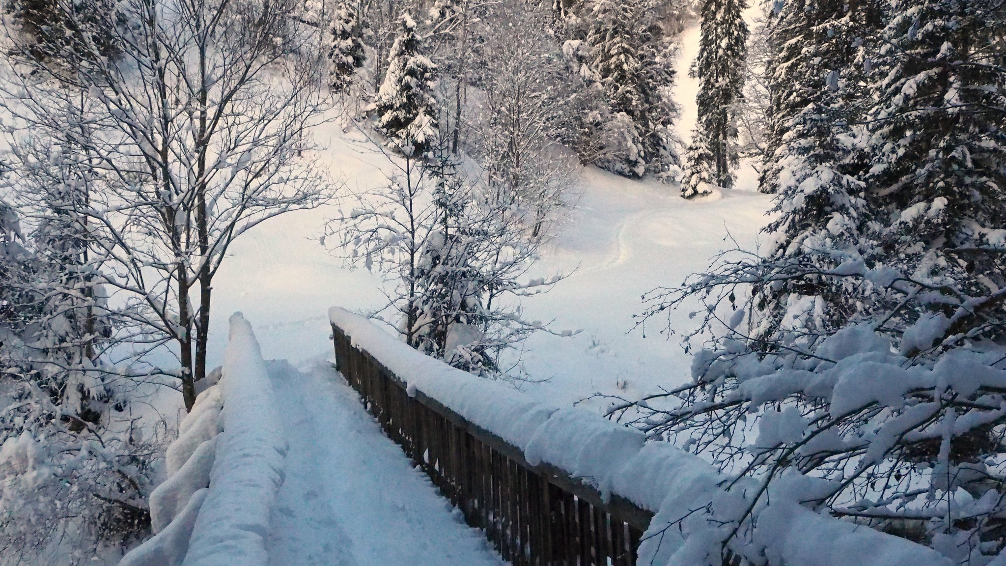 "Ein Steg ist auch eine Brücke und Brücken verbinden"