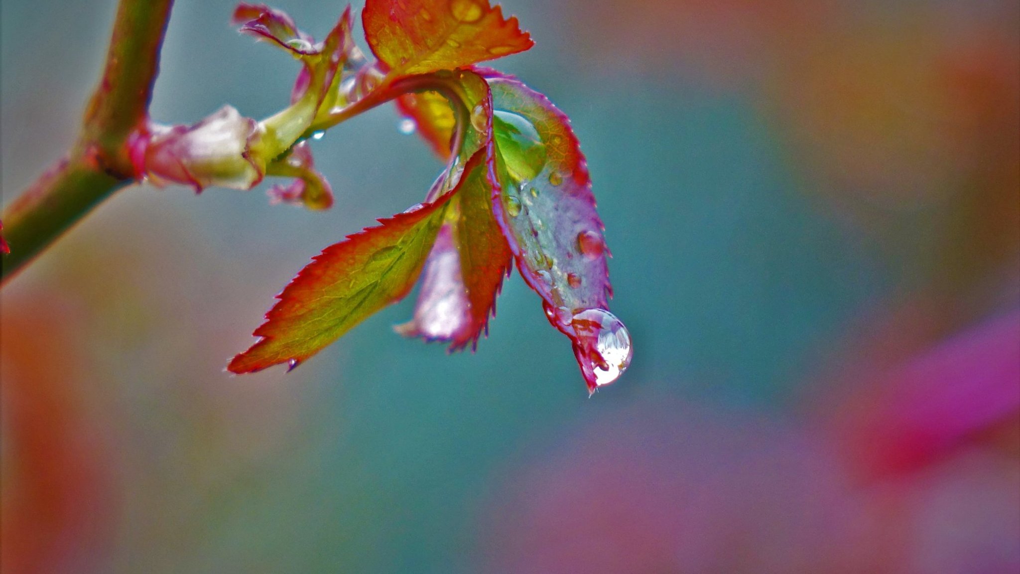Wann fällt der Tropfen