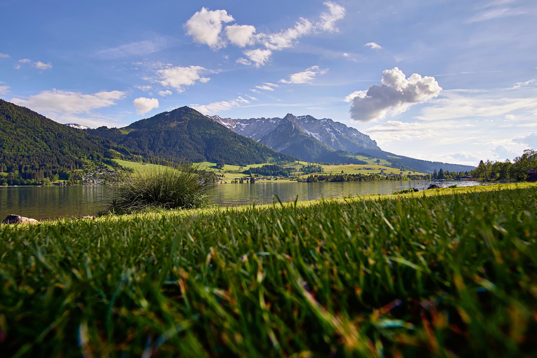 Die Wiese vor dem See