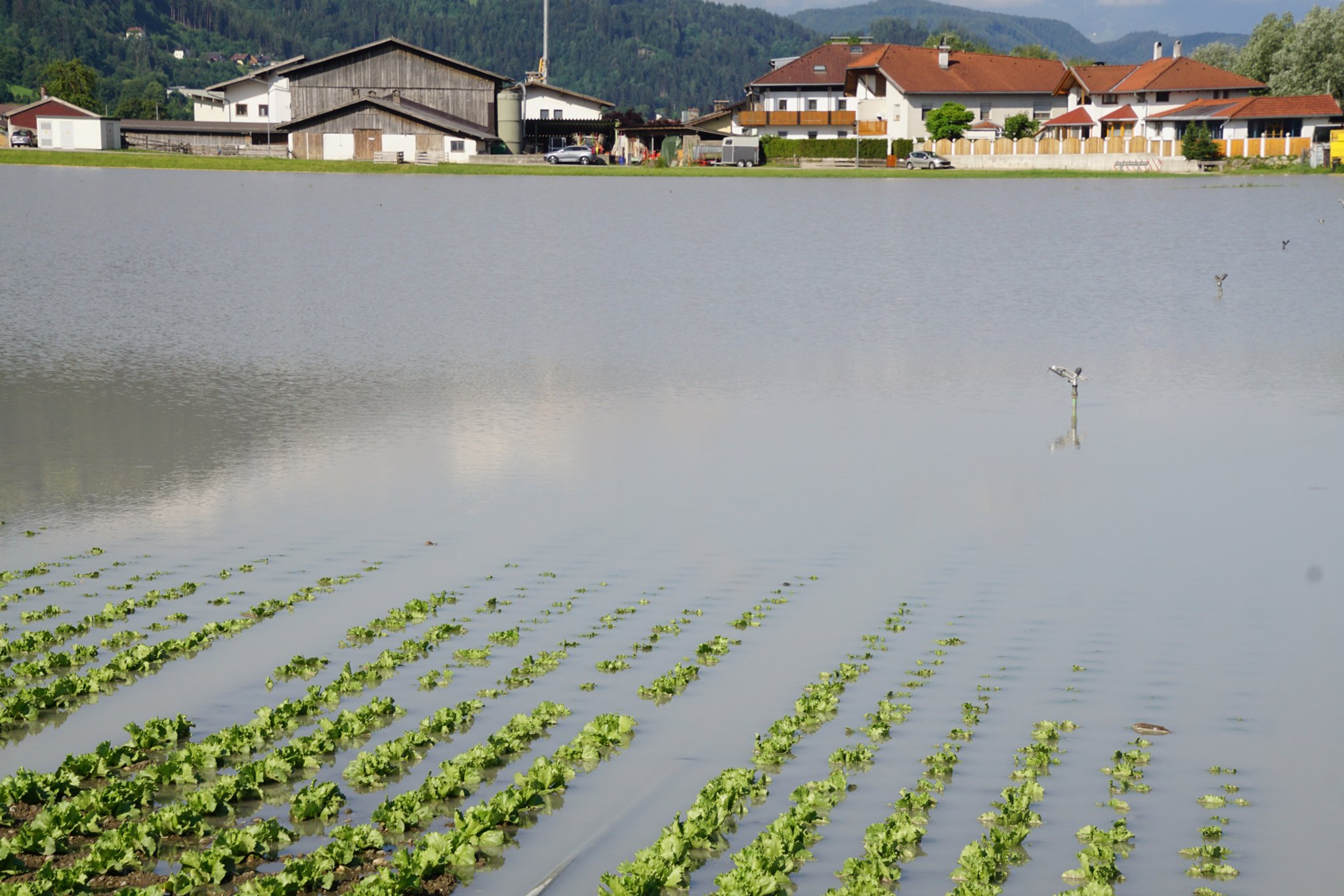 Radweg Kolsass, Gemüsefelder