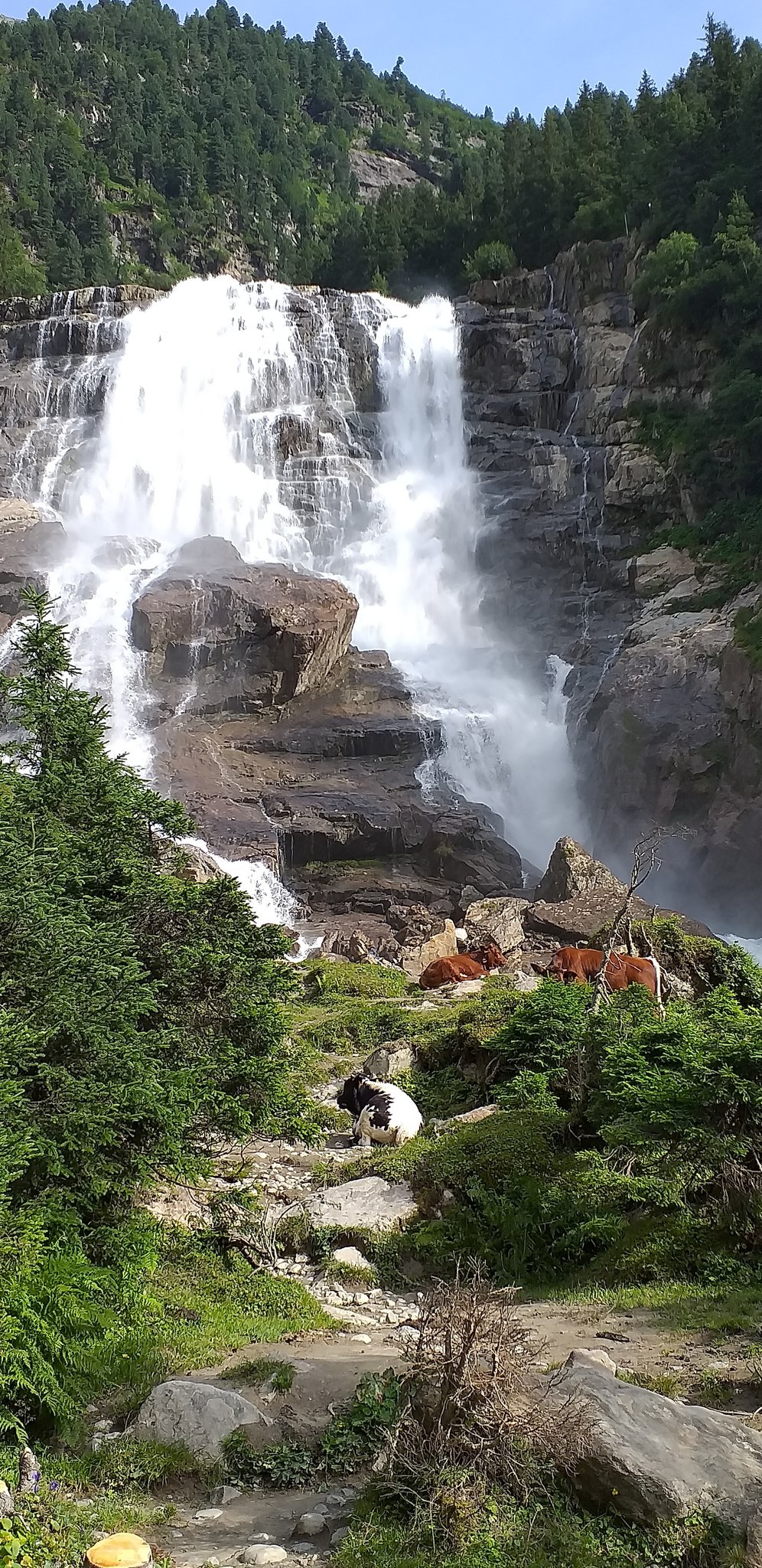 Naturjuwel Grawa Wasserfall im Stubaital/Tirol