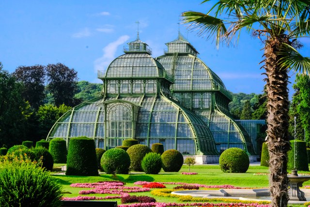 Palmenhaus - Schönbrunn