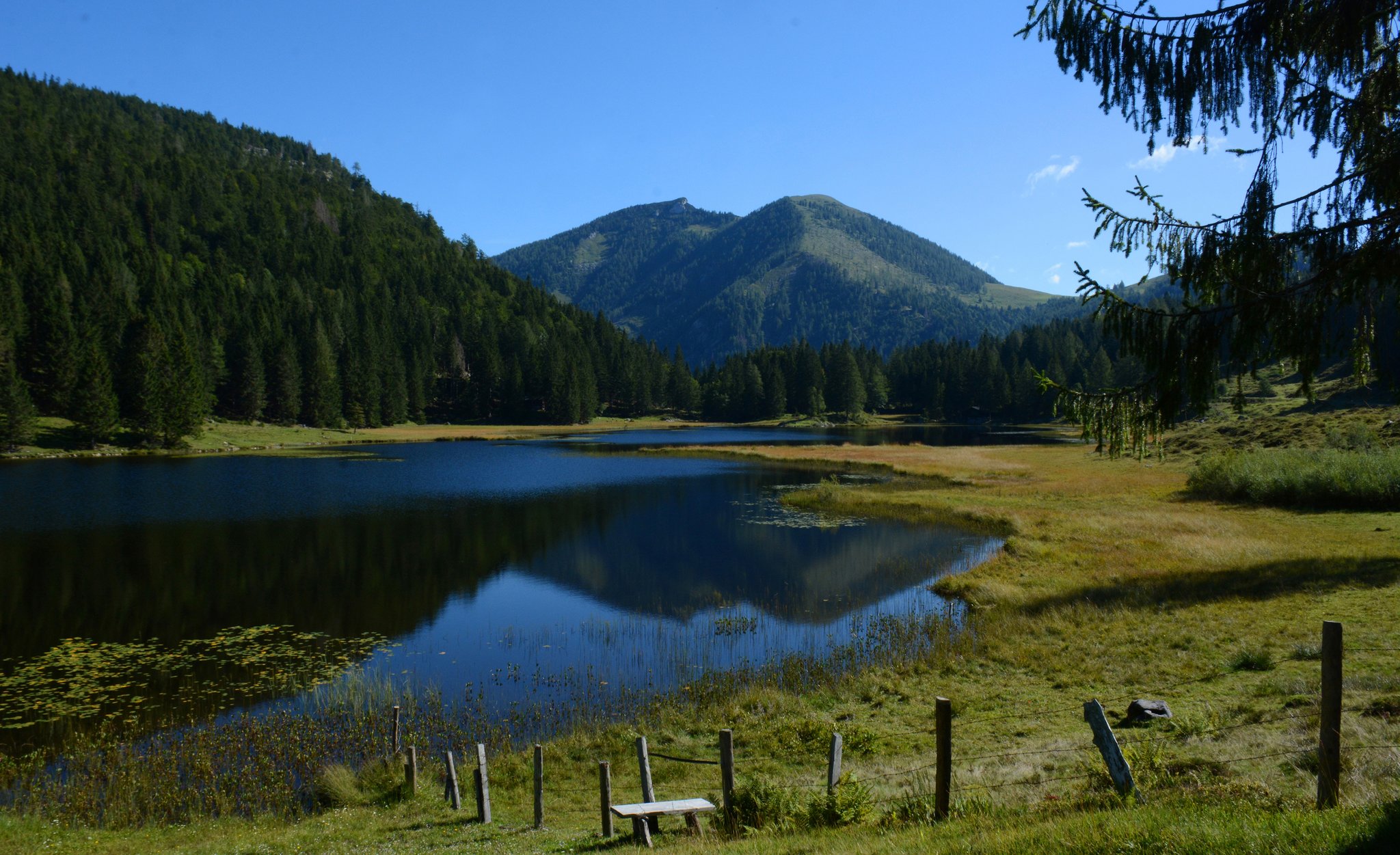Seewaldsee mit Blick zum Hochwieskopf und Hochbühel