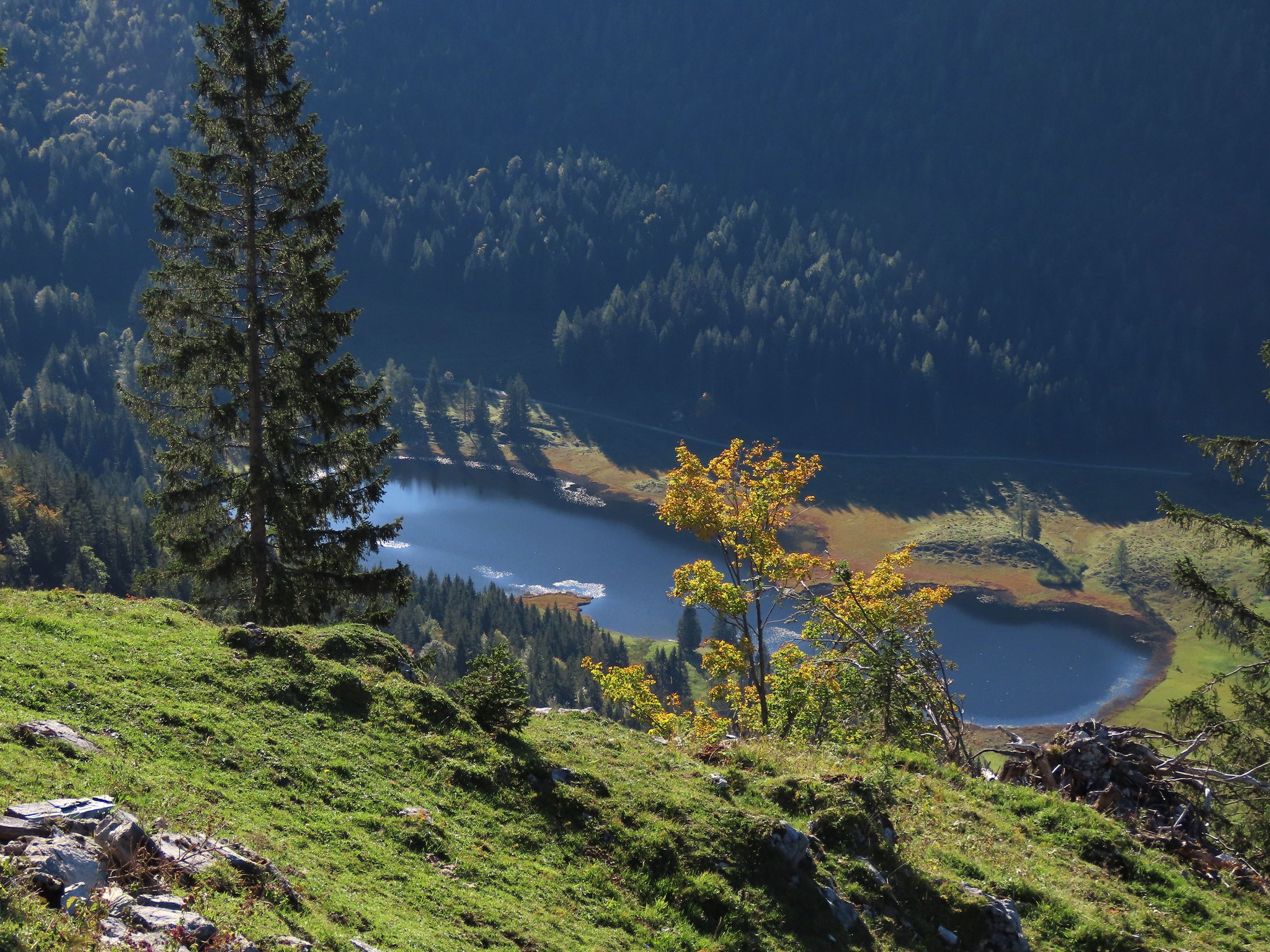 Der Seewaldsee von oben betrachtet