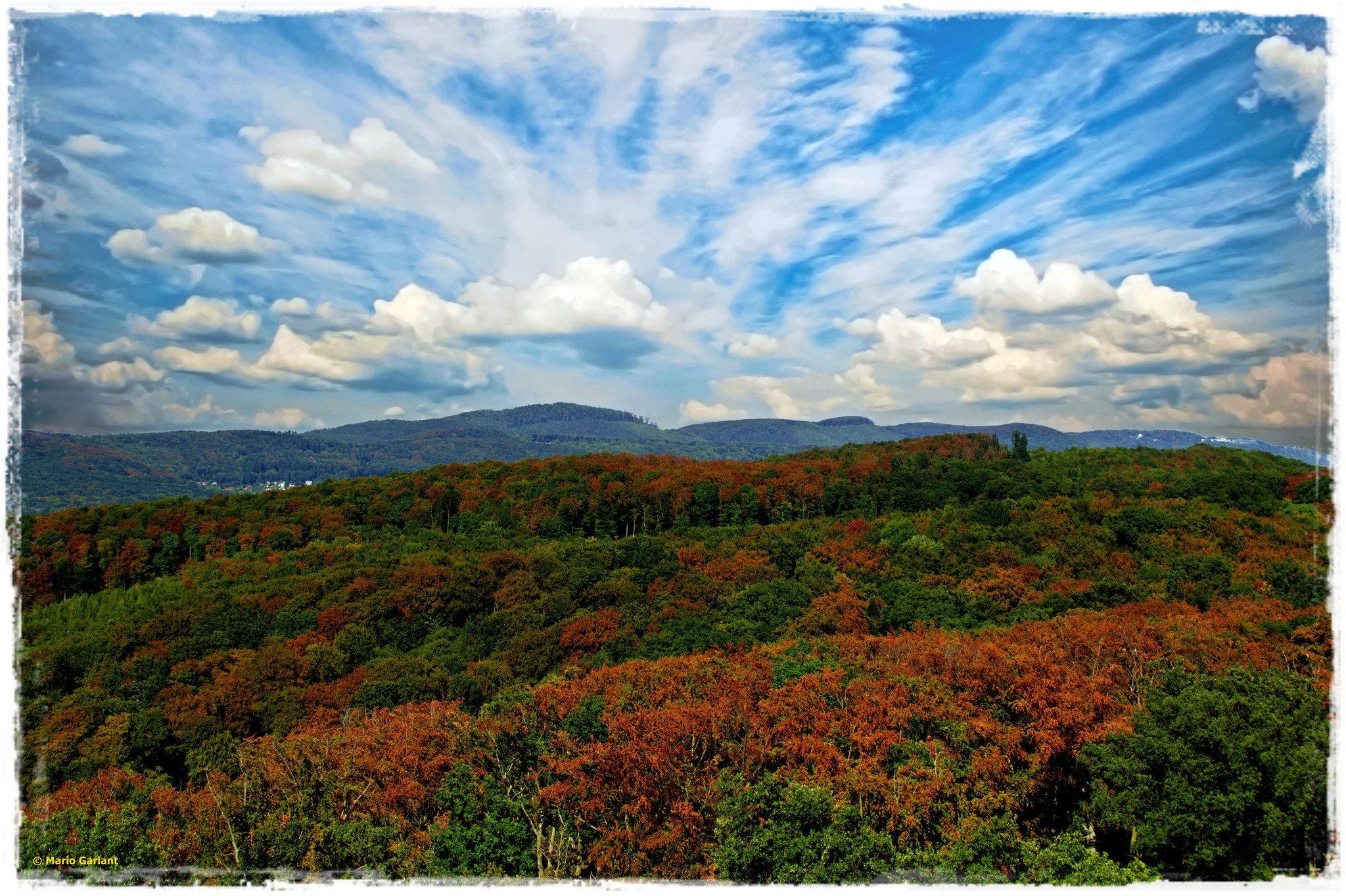 Herbst im Wienerwald