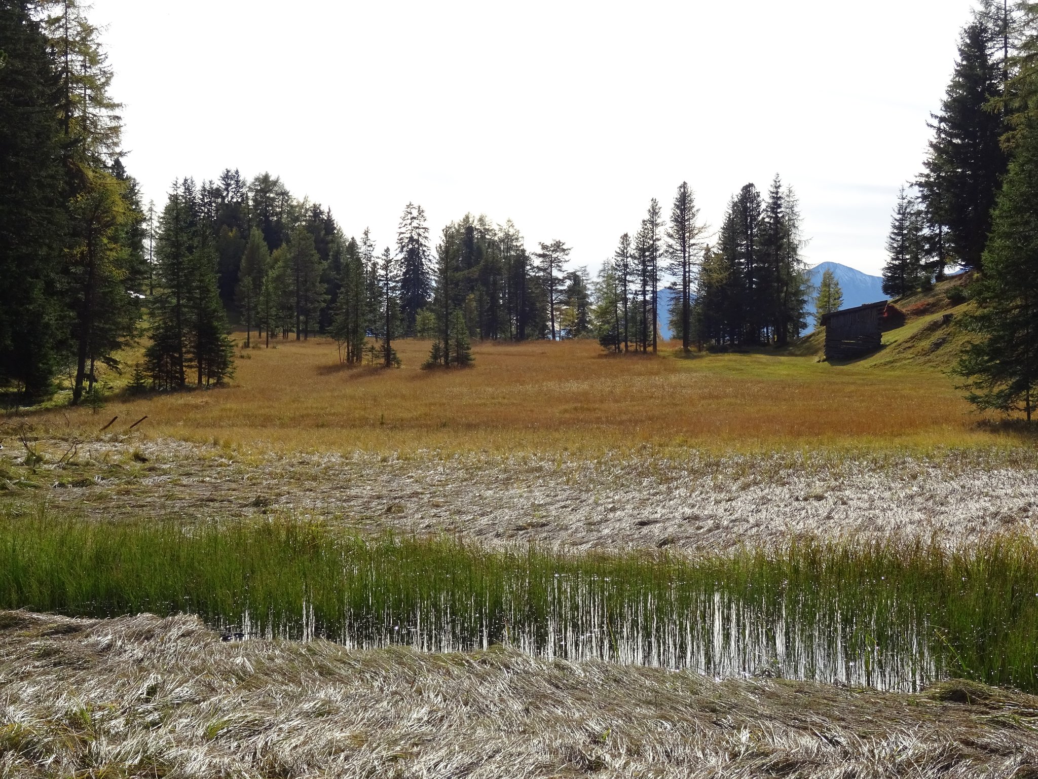 Tolle Herbststimmung beim Harbe Weiher