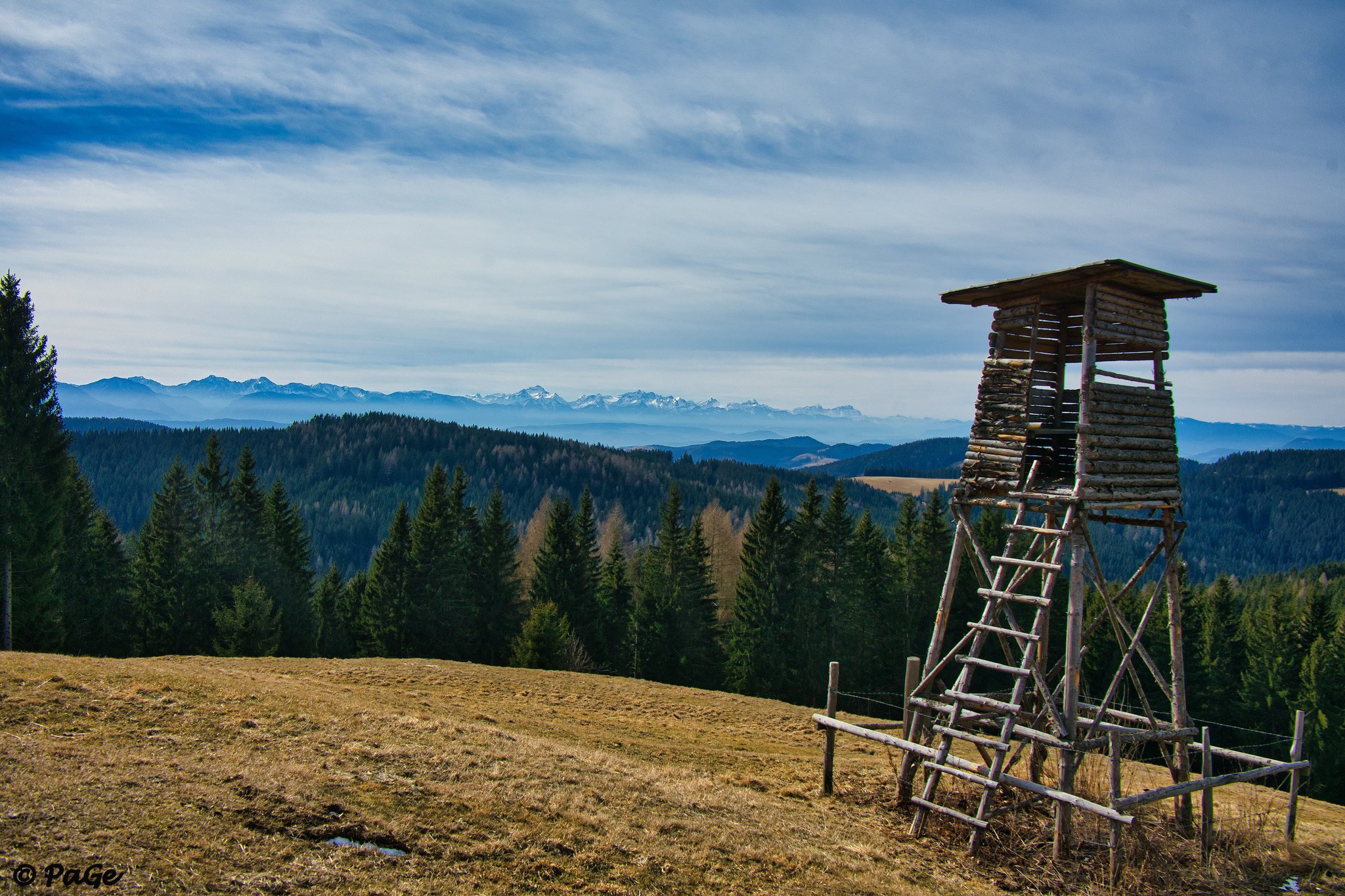 Einen Weitblick bietet der Hochsitz ....