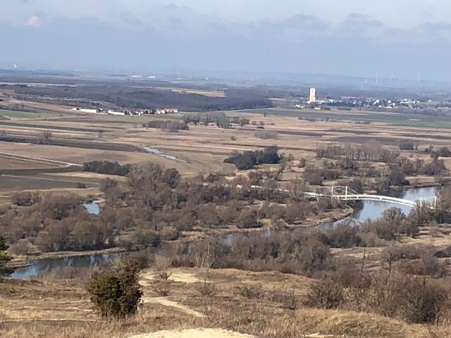March bevor sie in die Donau mündet mit Blick in das Marchfeld