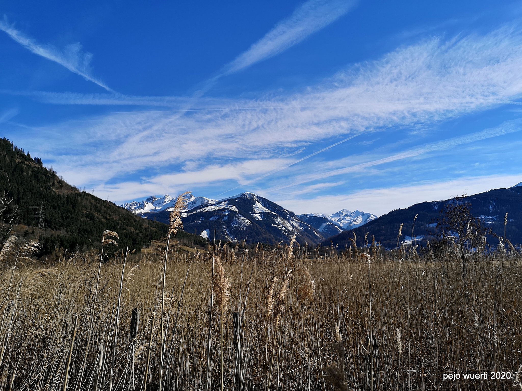 Schilfgras vom Zellermoos mit Imbachhorn und der Glocknergruppe