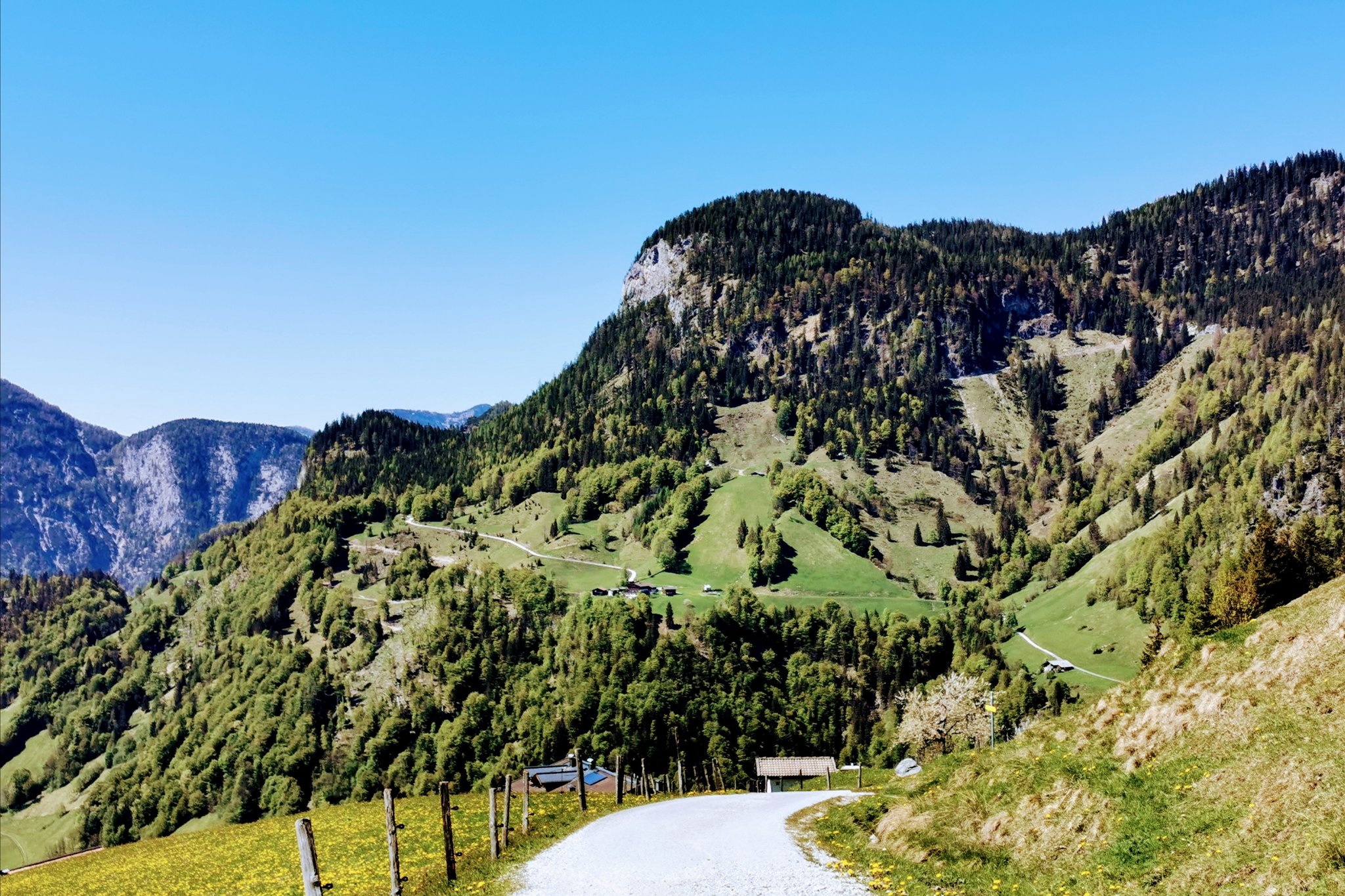 Blick zum Gerhardstein