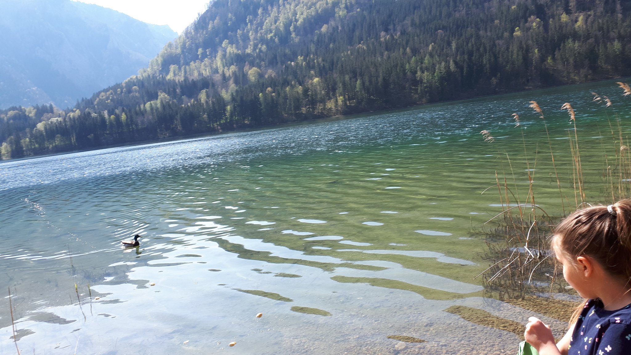 Lunzer See