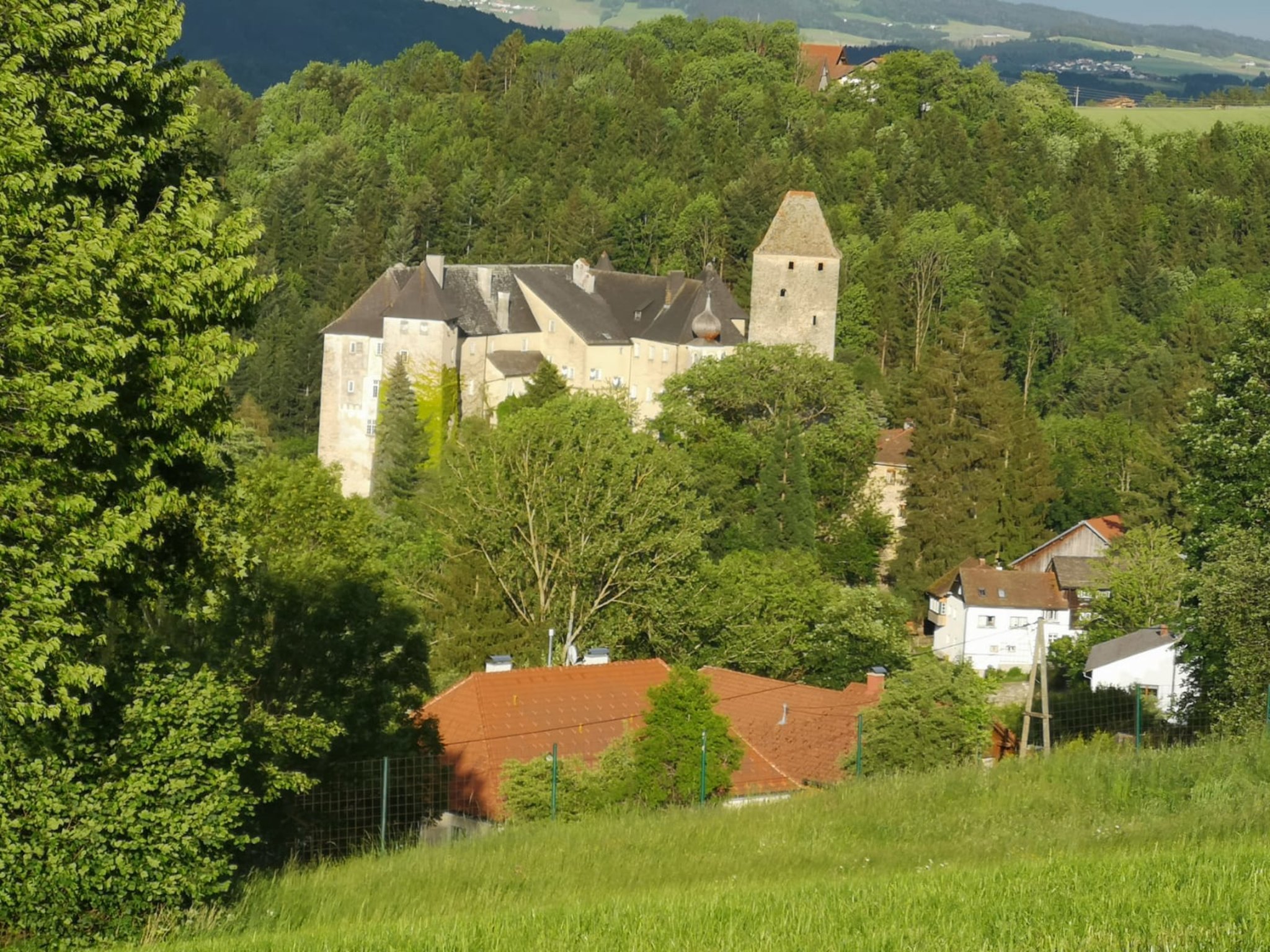 Burg Vichtenstein am Fuße des Haugsteins