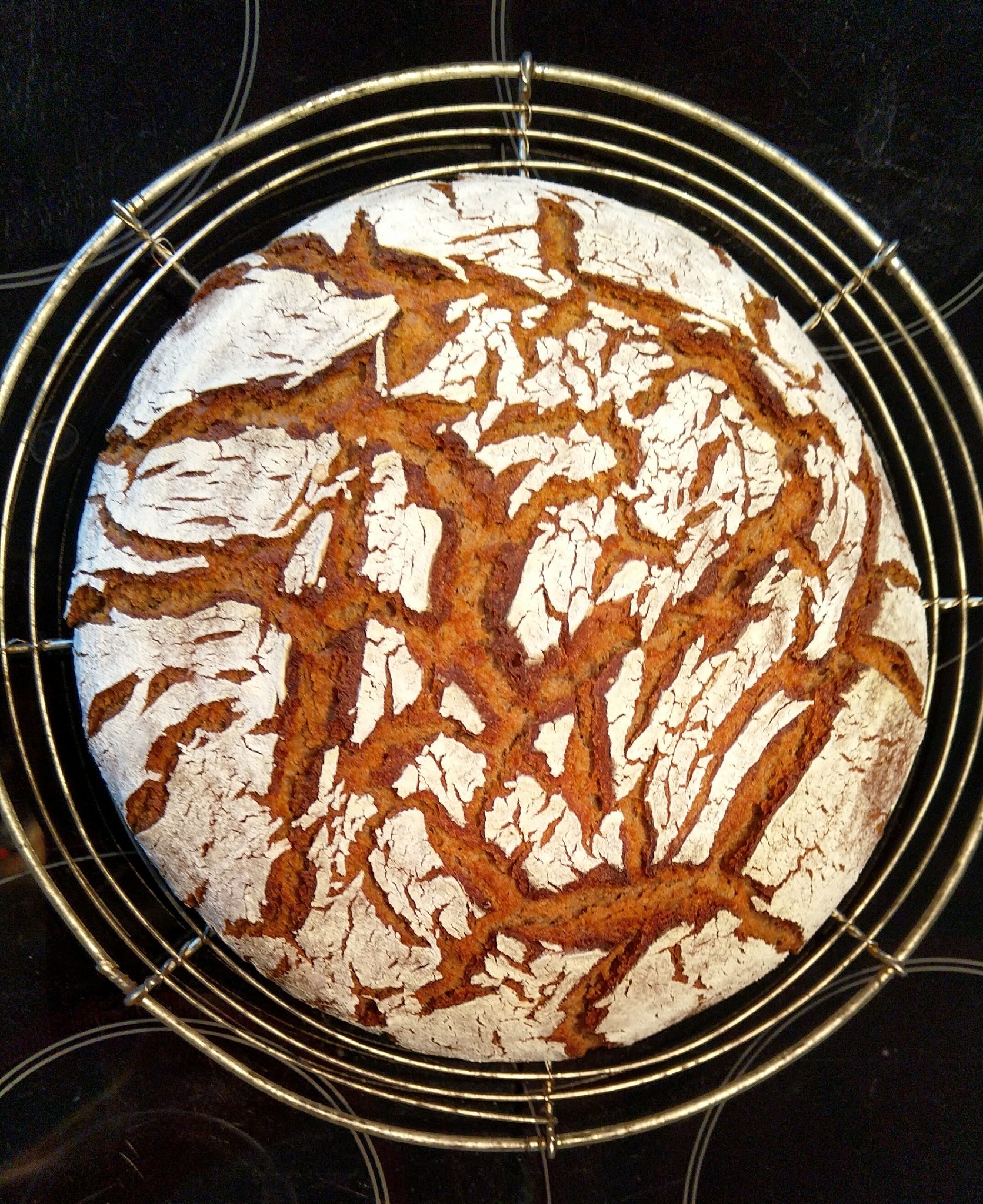 "Elsässer Kruste" - das für mich ultimative Roggenbrot aus 100% ...