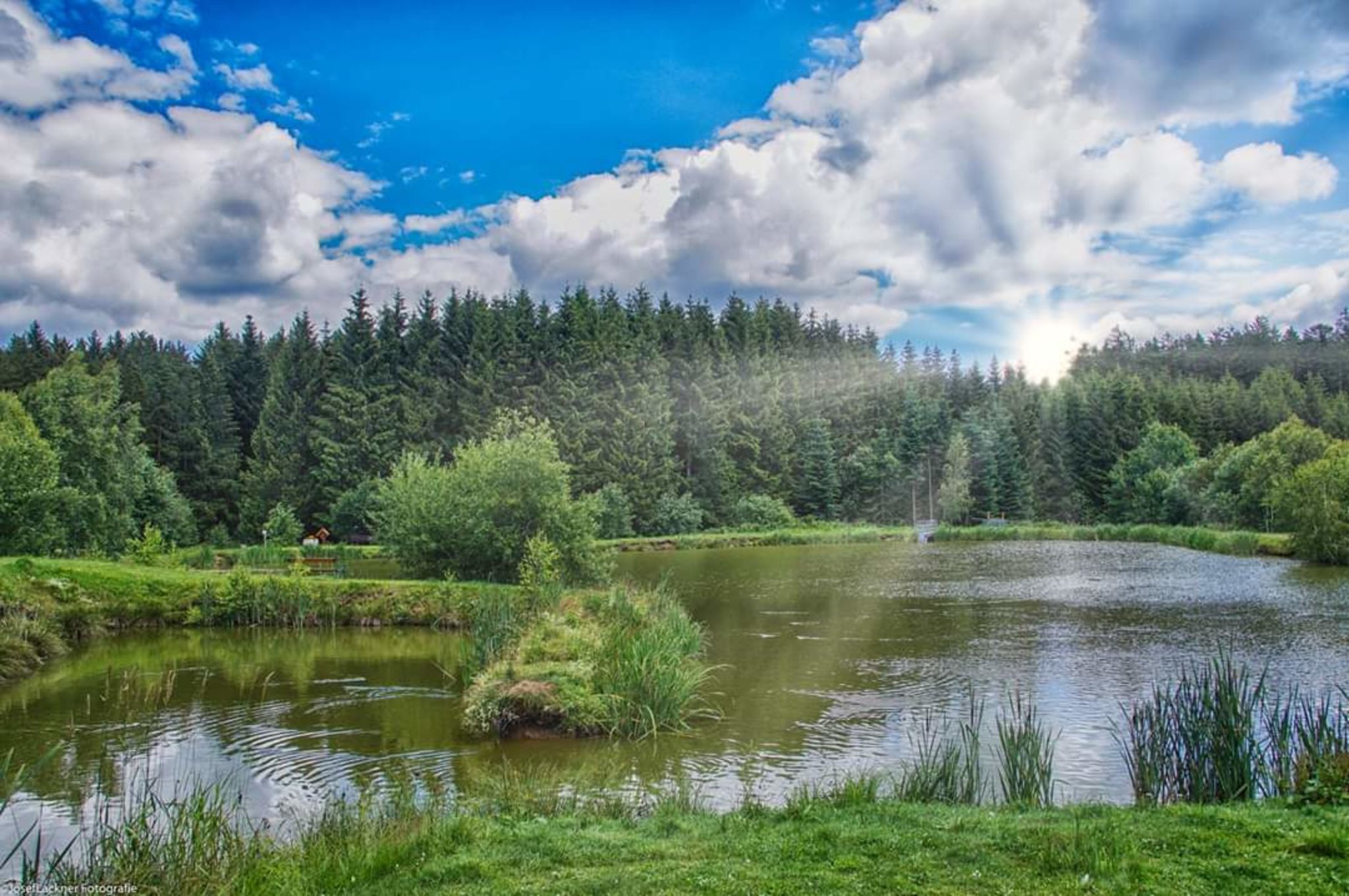 Fischteich Bad Traunstein