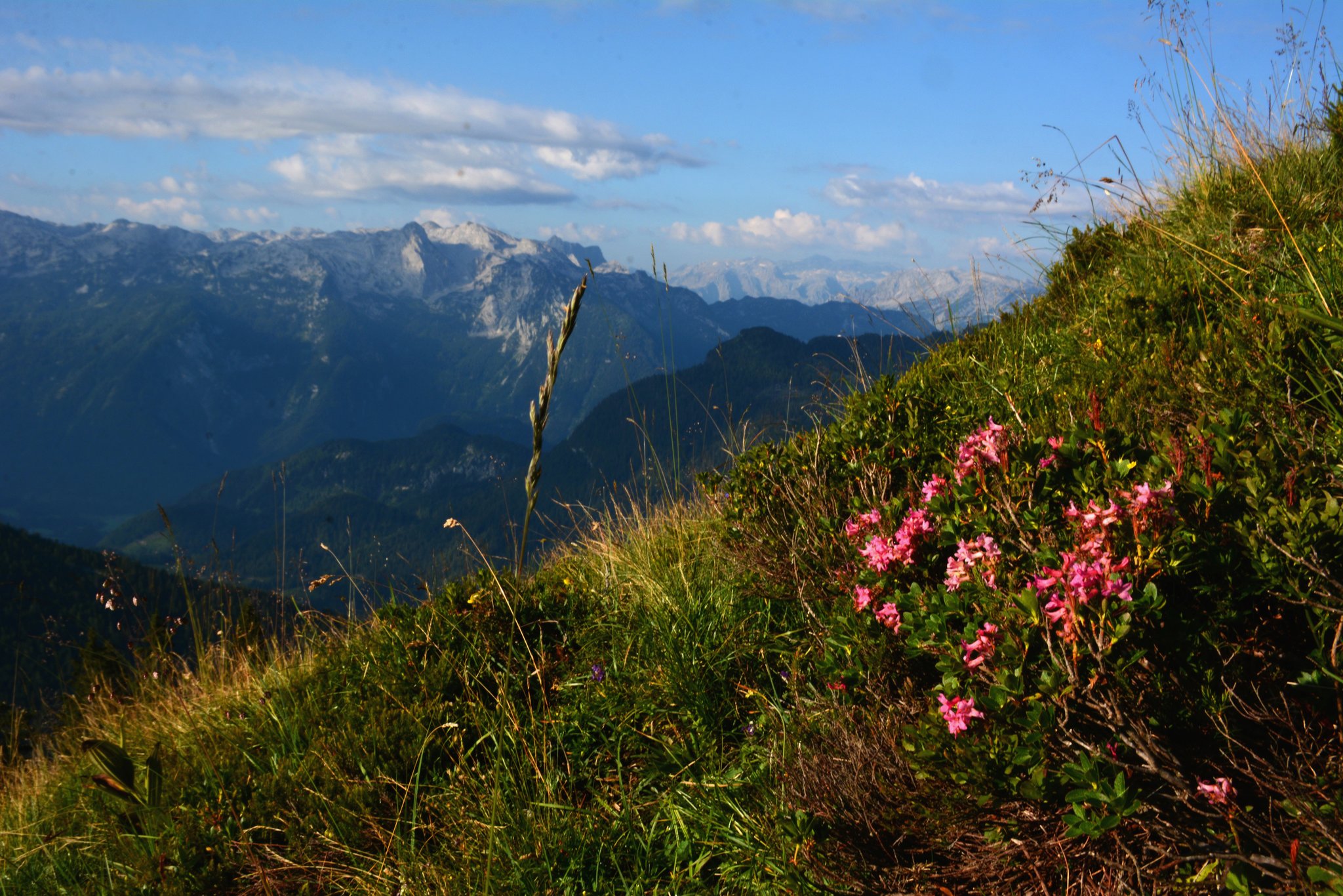 Blick vom Trattberg zum Tennengebirge
