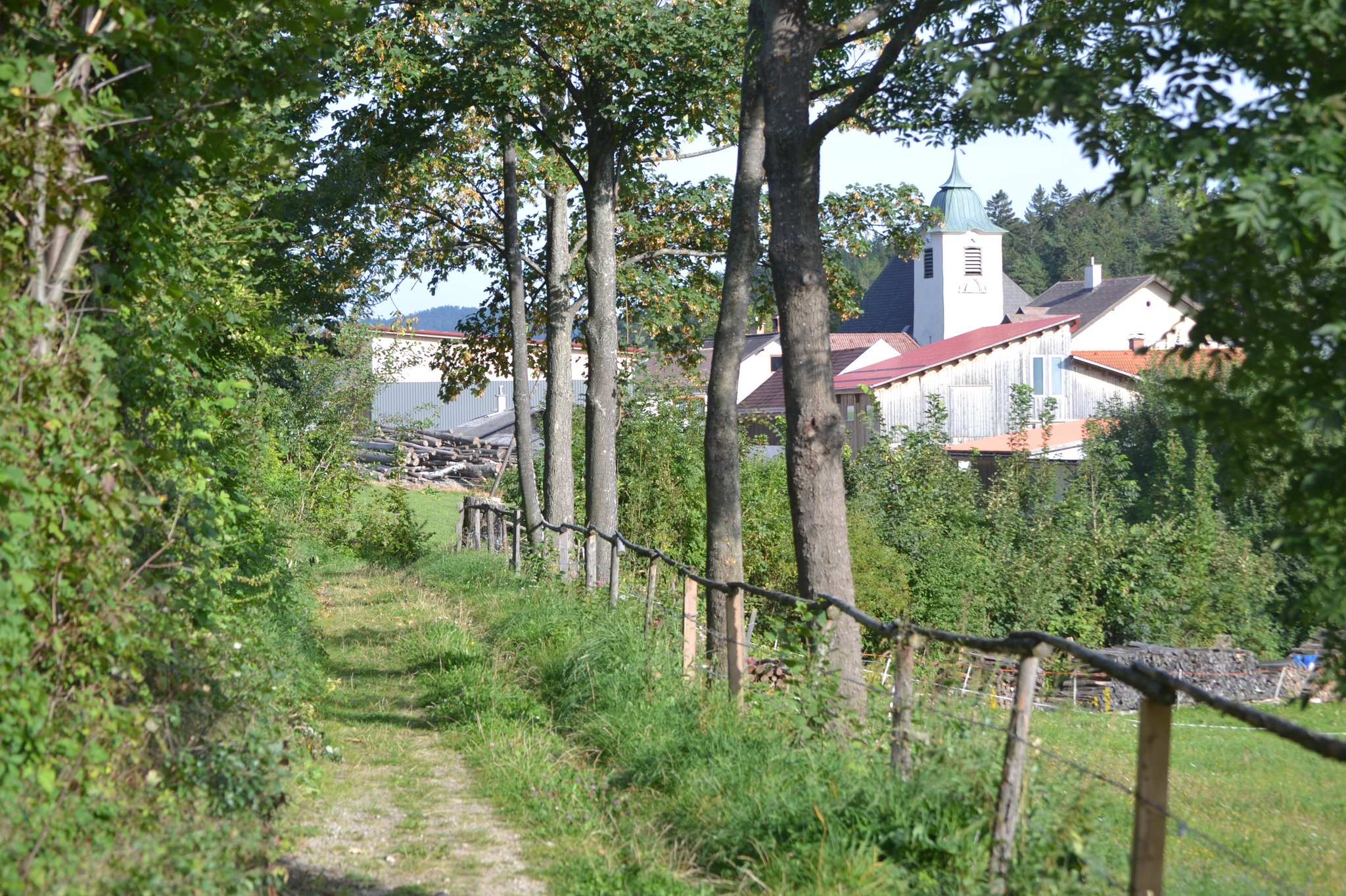 Raach am Hochgebirge