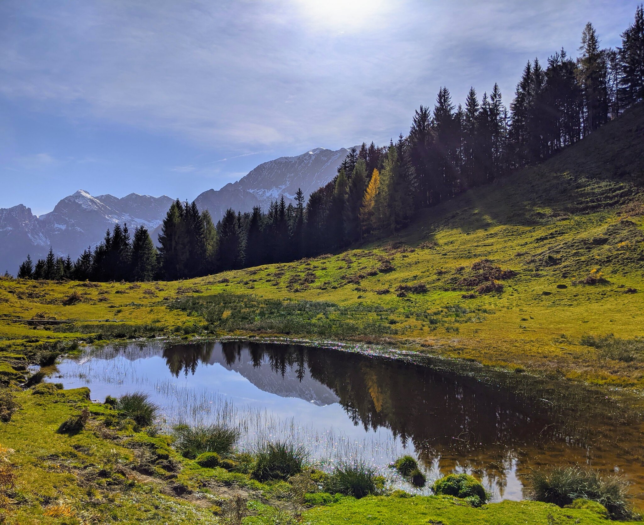 Natur-Biotop