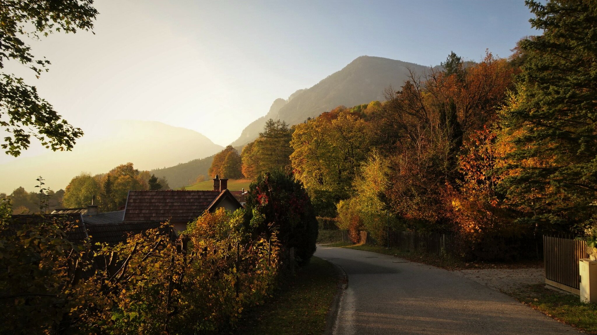 Der goldene Herbst ...