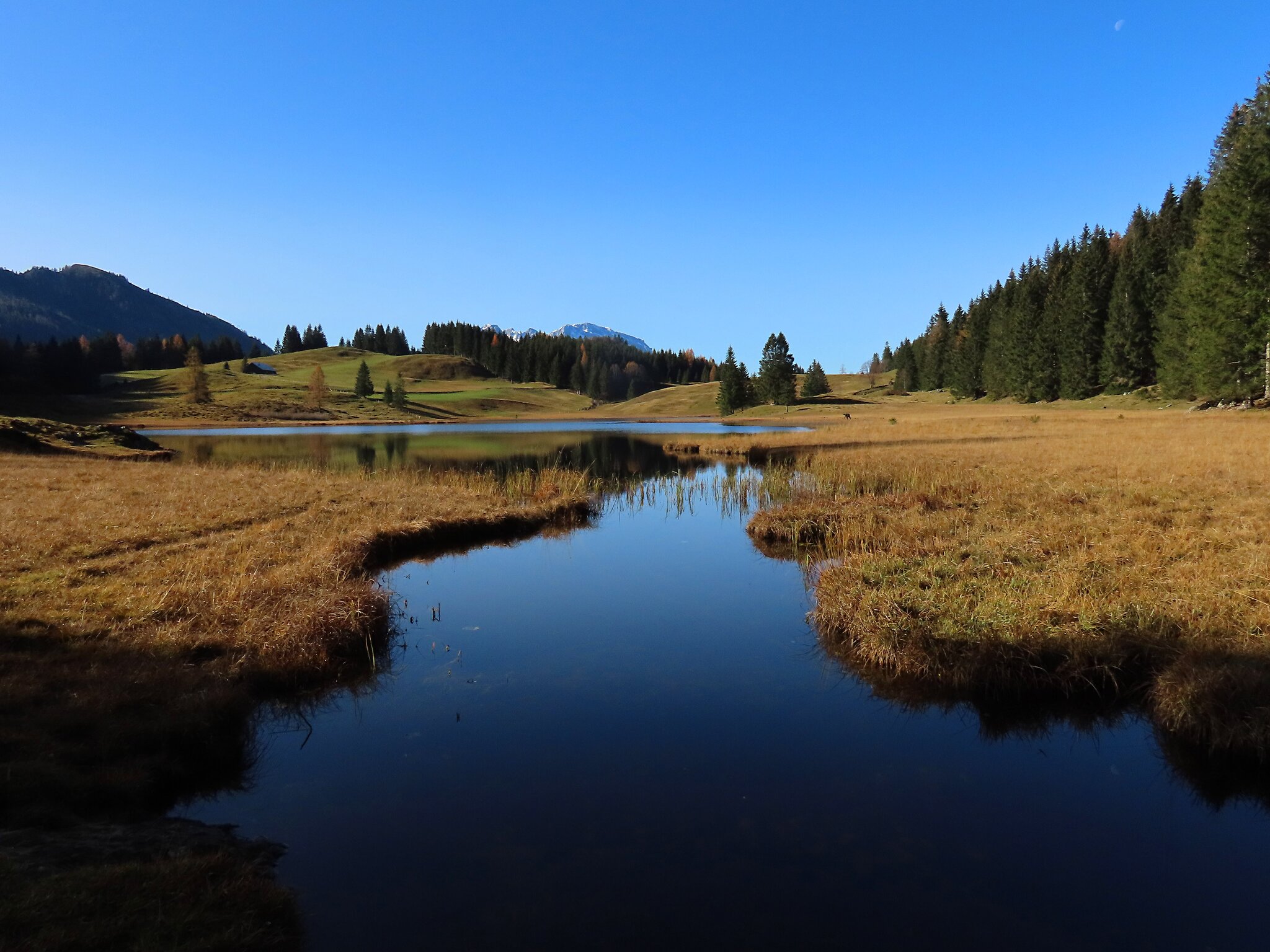 Seewaldsee - der Ausfluß