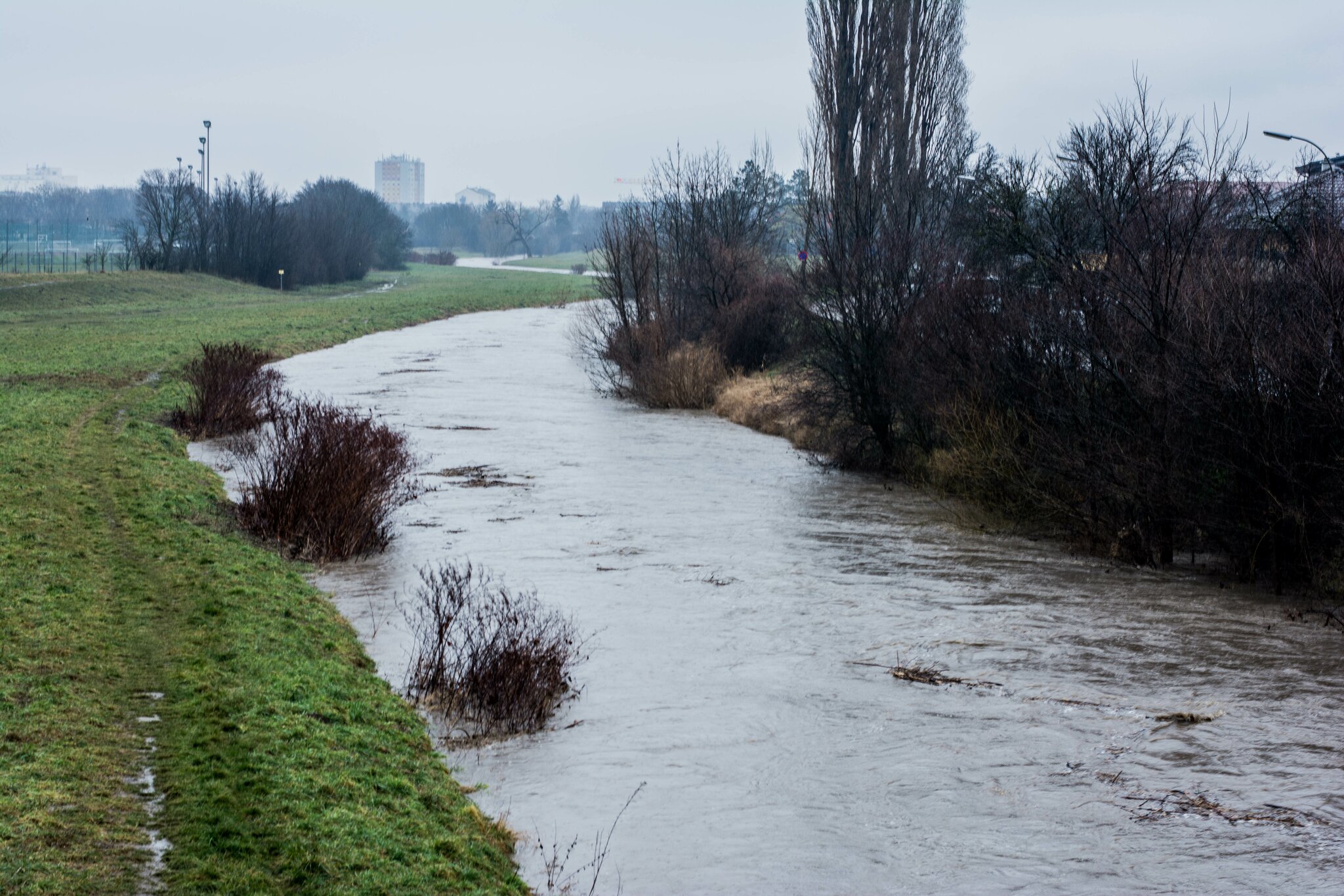 die Schwechat führt Hochwasser.... LG Kurt