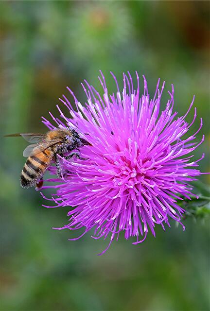 Hilfe ich stecke fest.