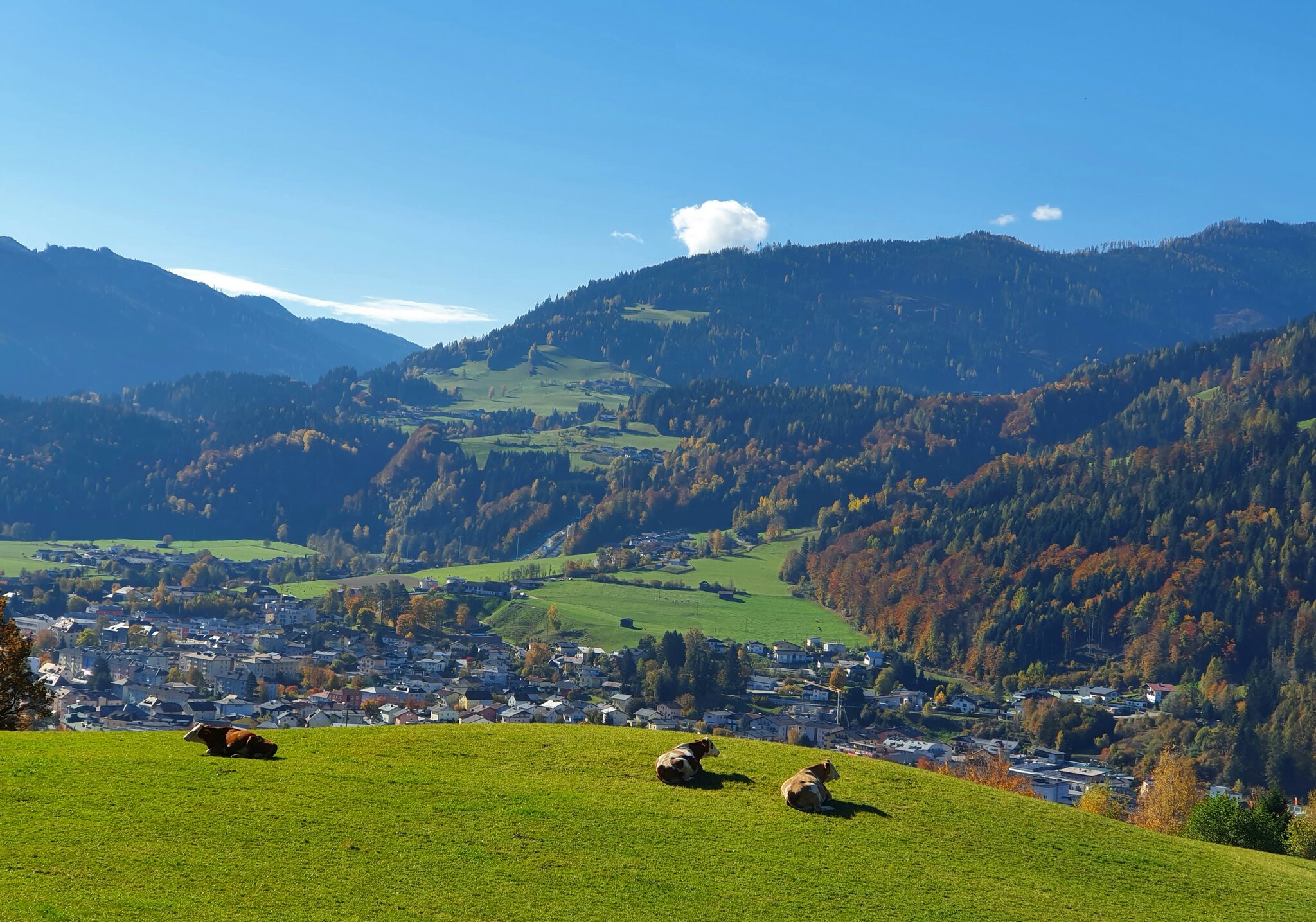 Buchberg Bischofshofen