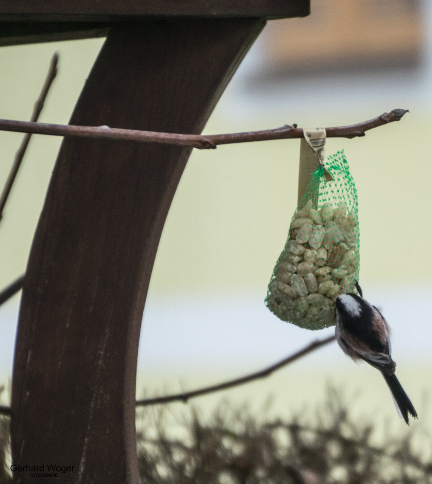 Ein schöner Rücken kann auch entzücken!