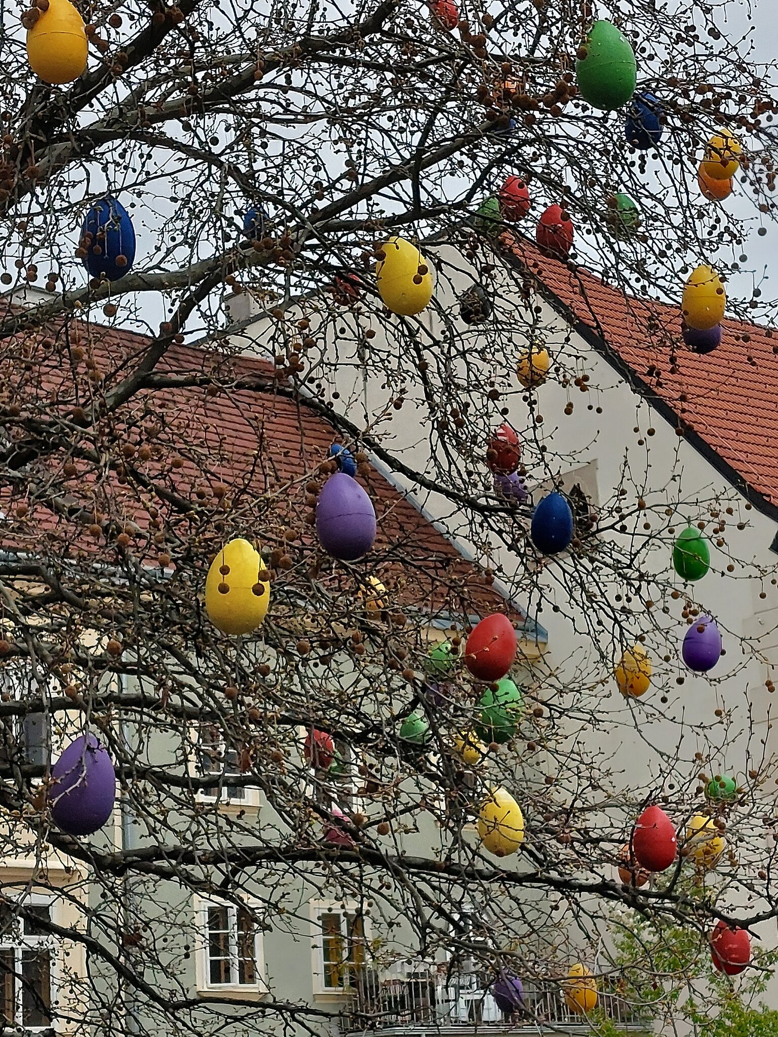 Ostereierbaum - es gibt sie doch - in Wiener Neustadt