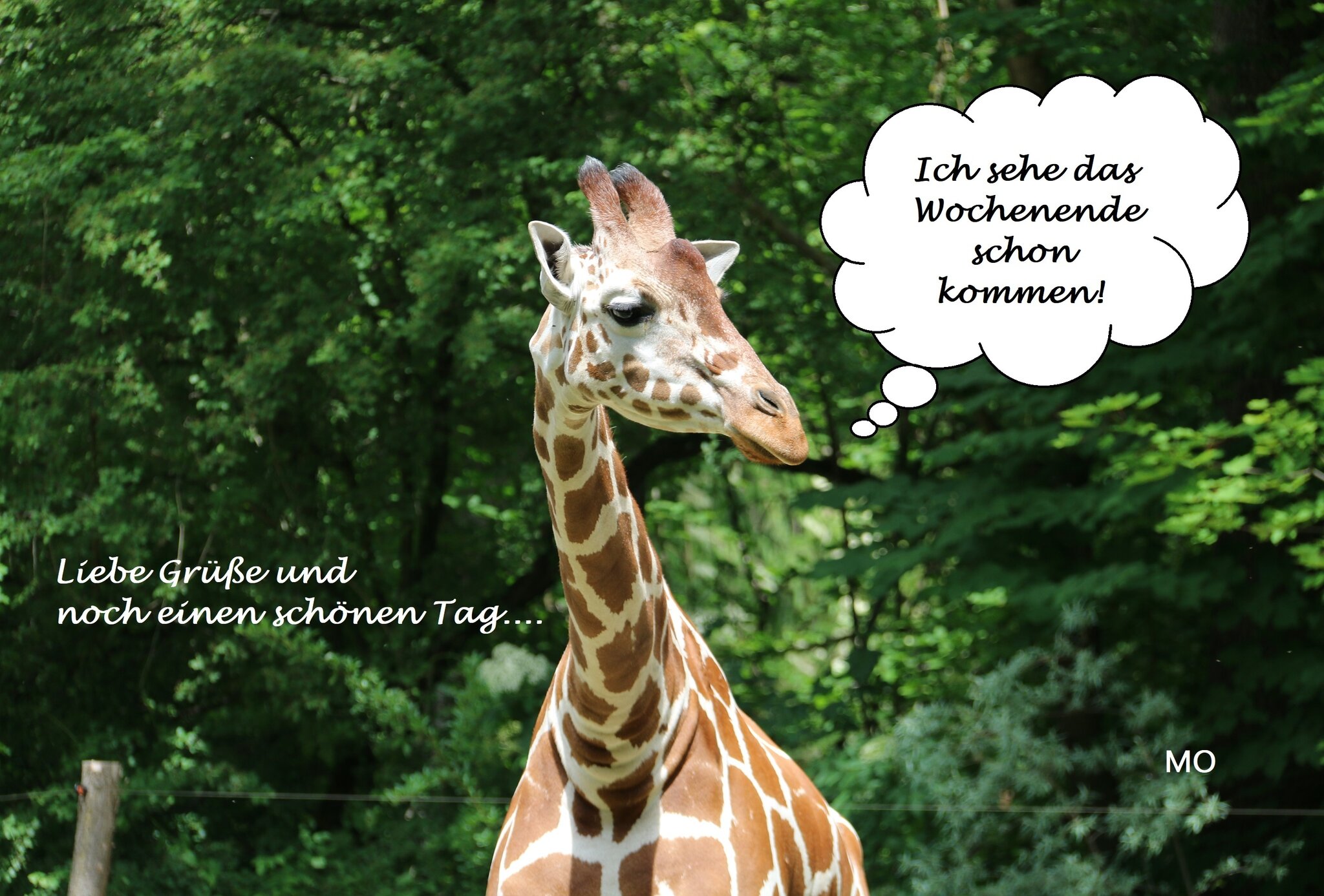 Ich sehe das Wochenende schon kommen!