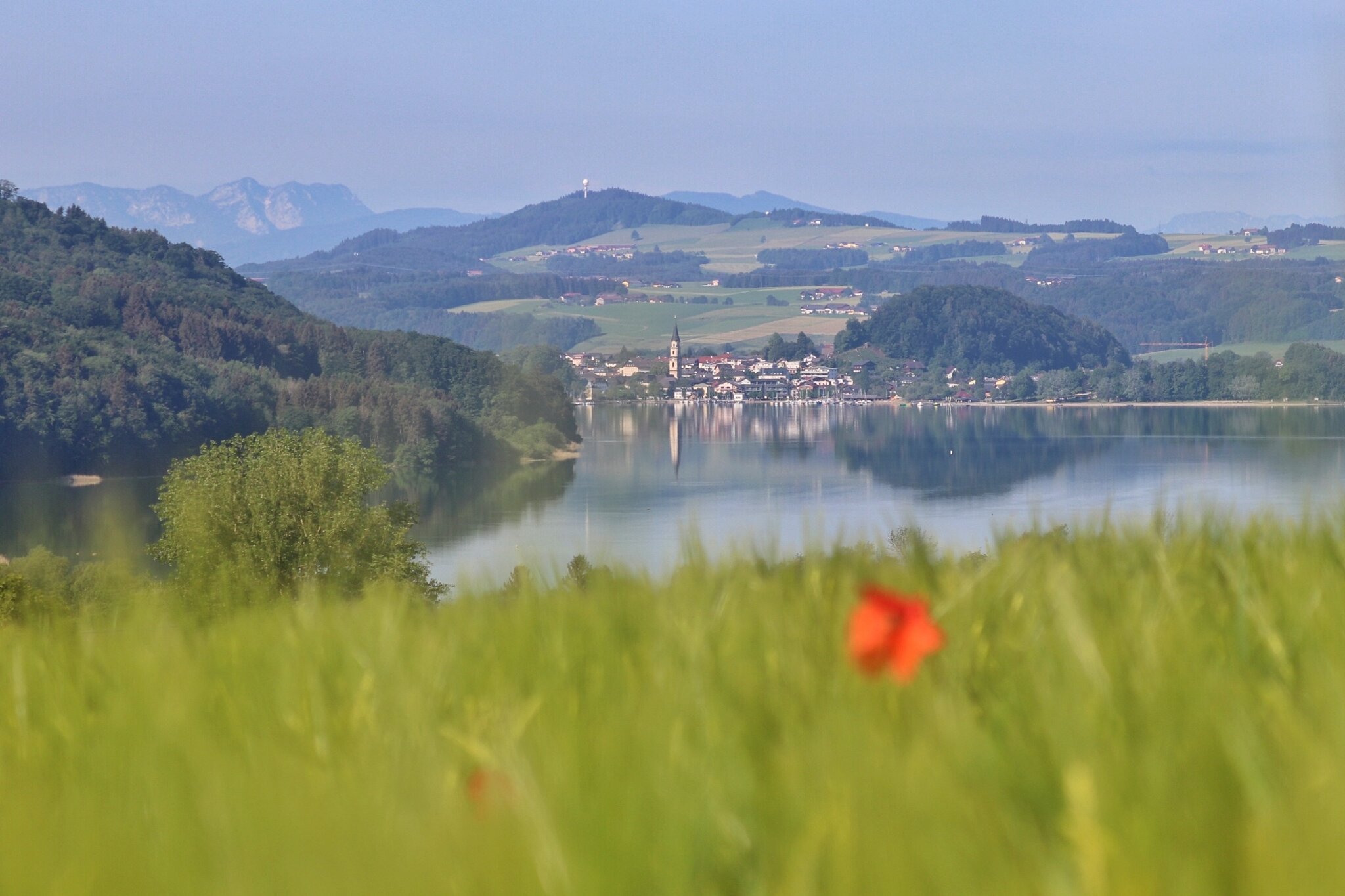 Die Aussicht auf den Mattsee genießen