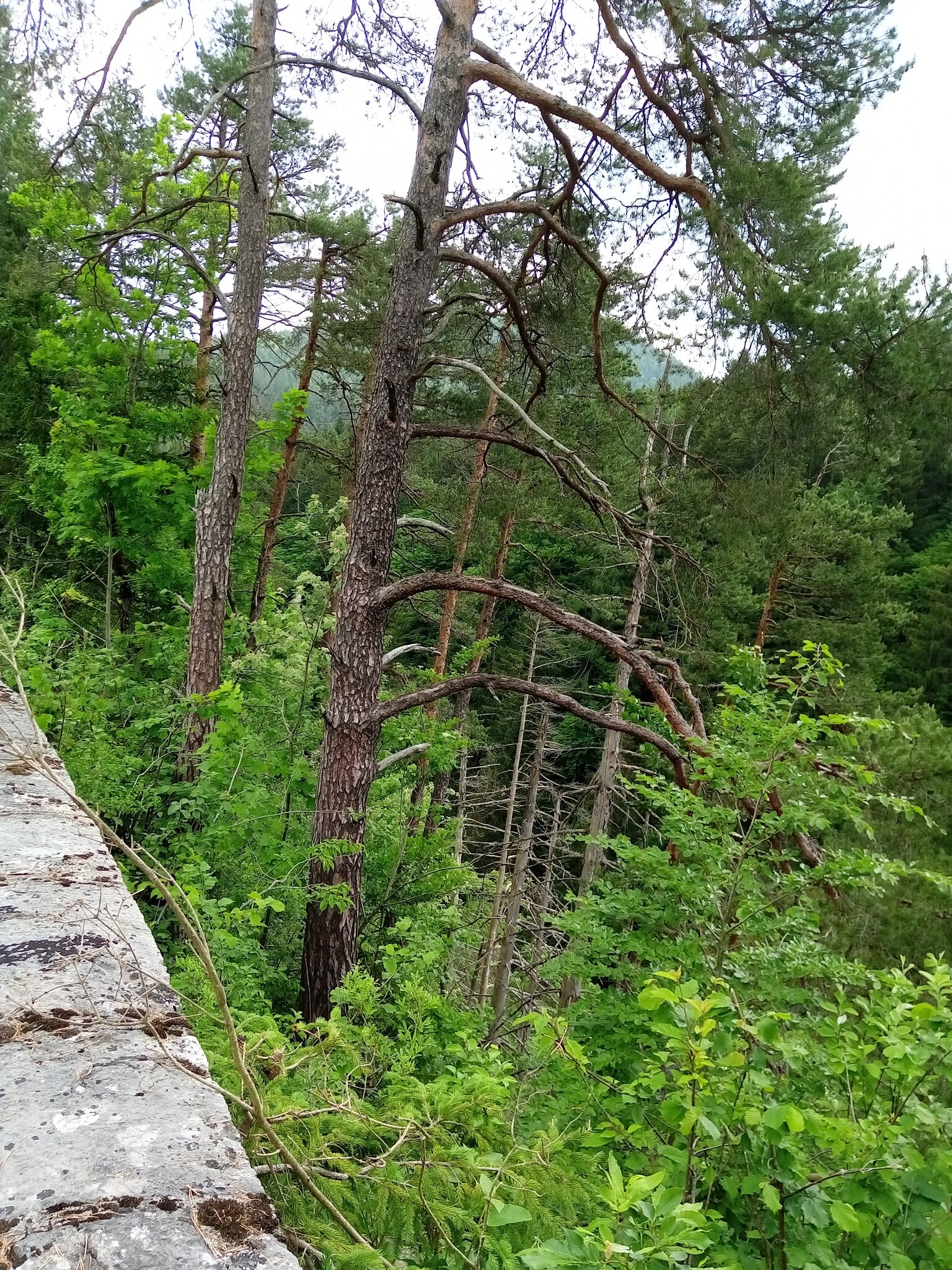 Mal mehr, Mal weniger. Hier: weniger
