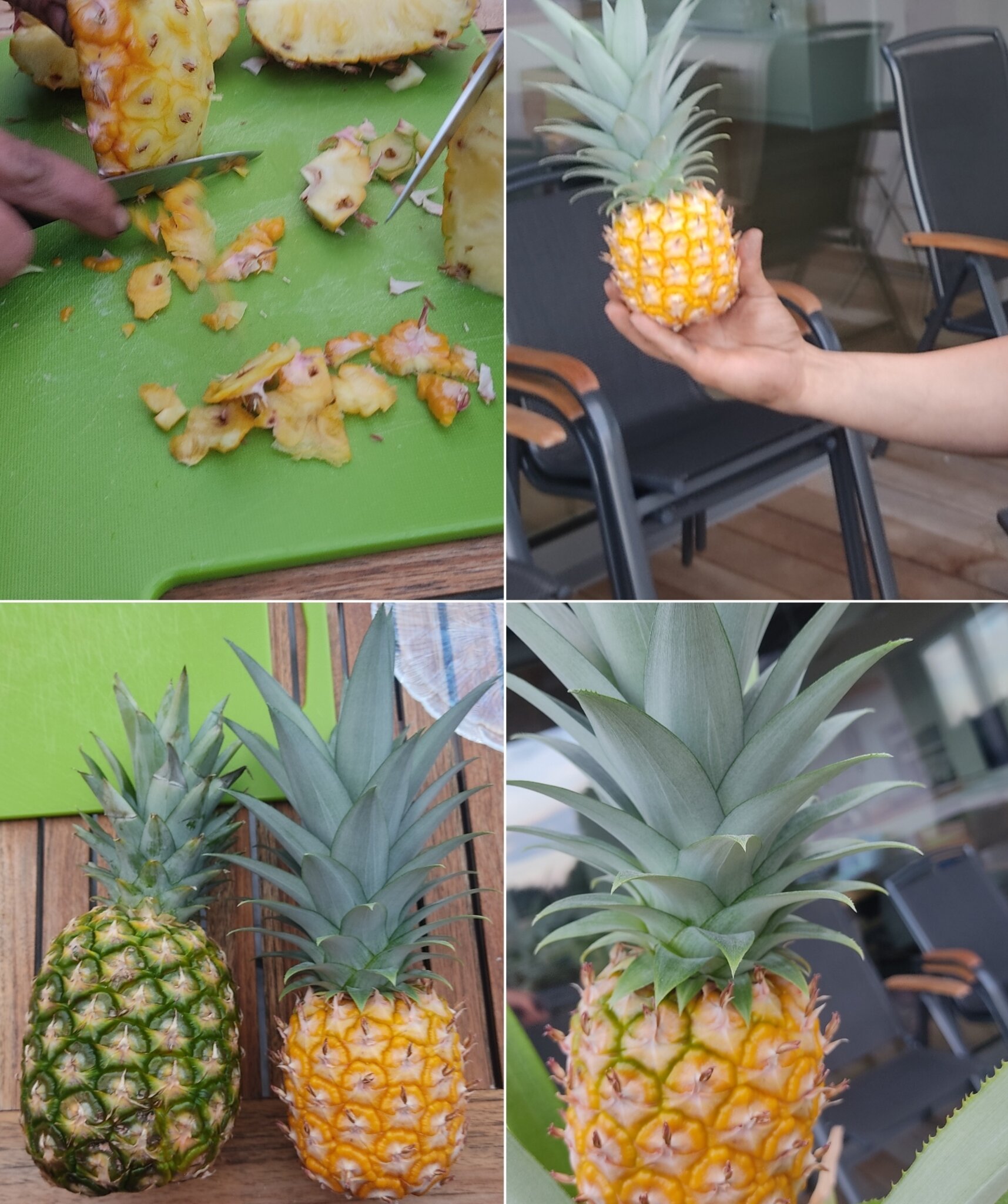 Steirische Ananas, das Finale...