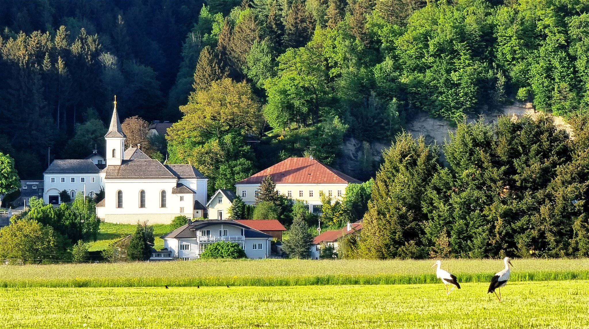 Auf Besuch in Friedburg