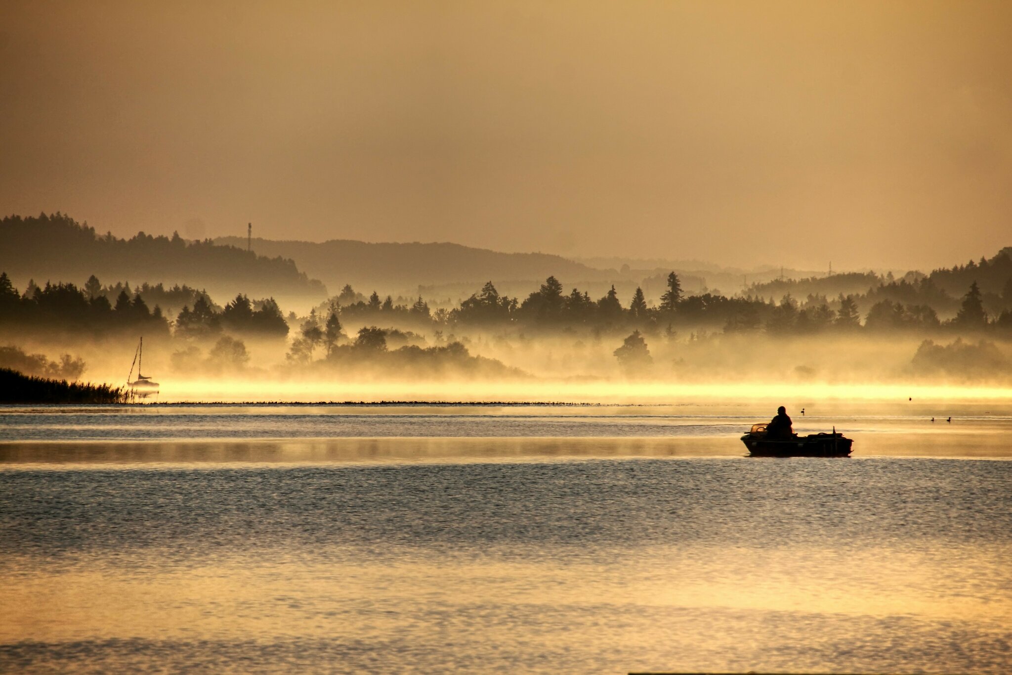 Goldene Morgensonne am Wallersee