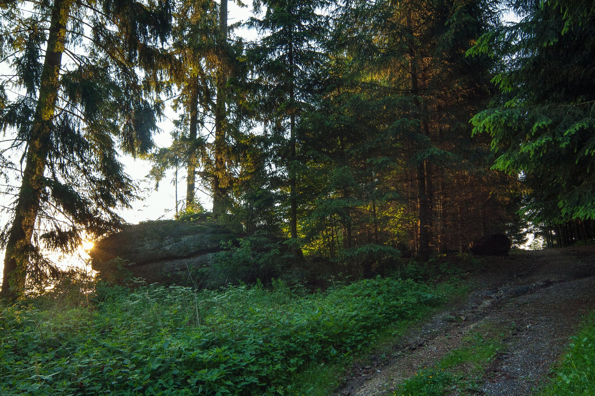 Wanderweg Kremstal # 5734