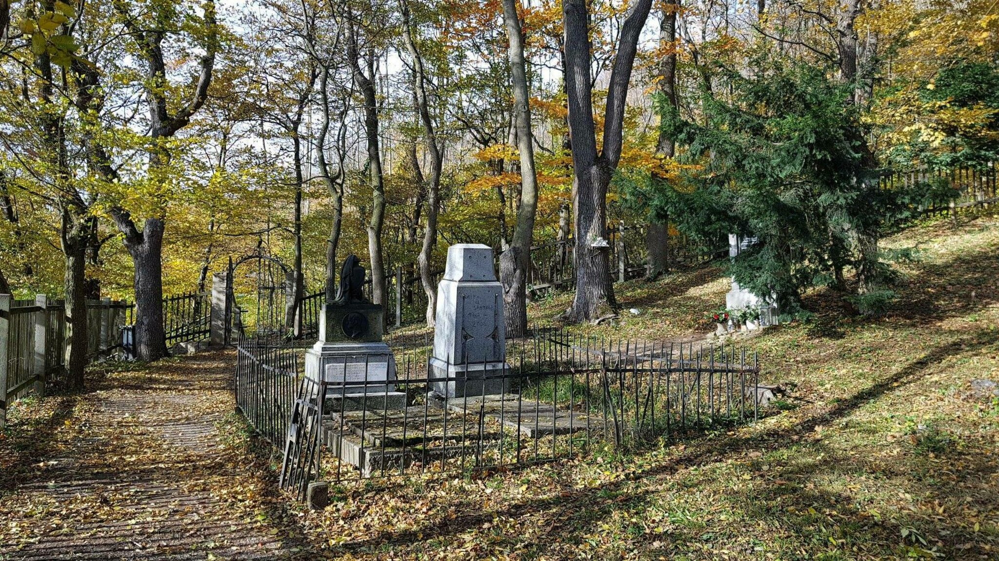 Der kleinste Friedhof von Wien: Ein Waldfriedhof, eine Freude für ...