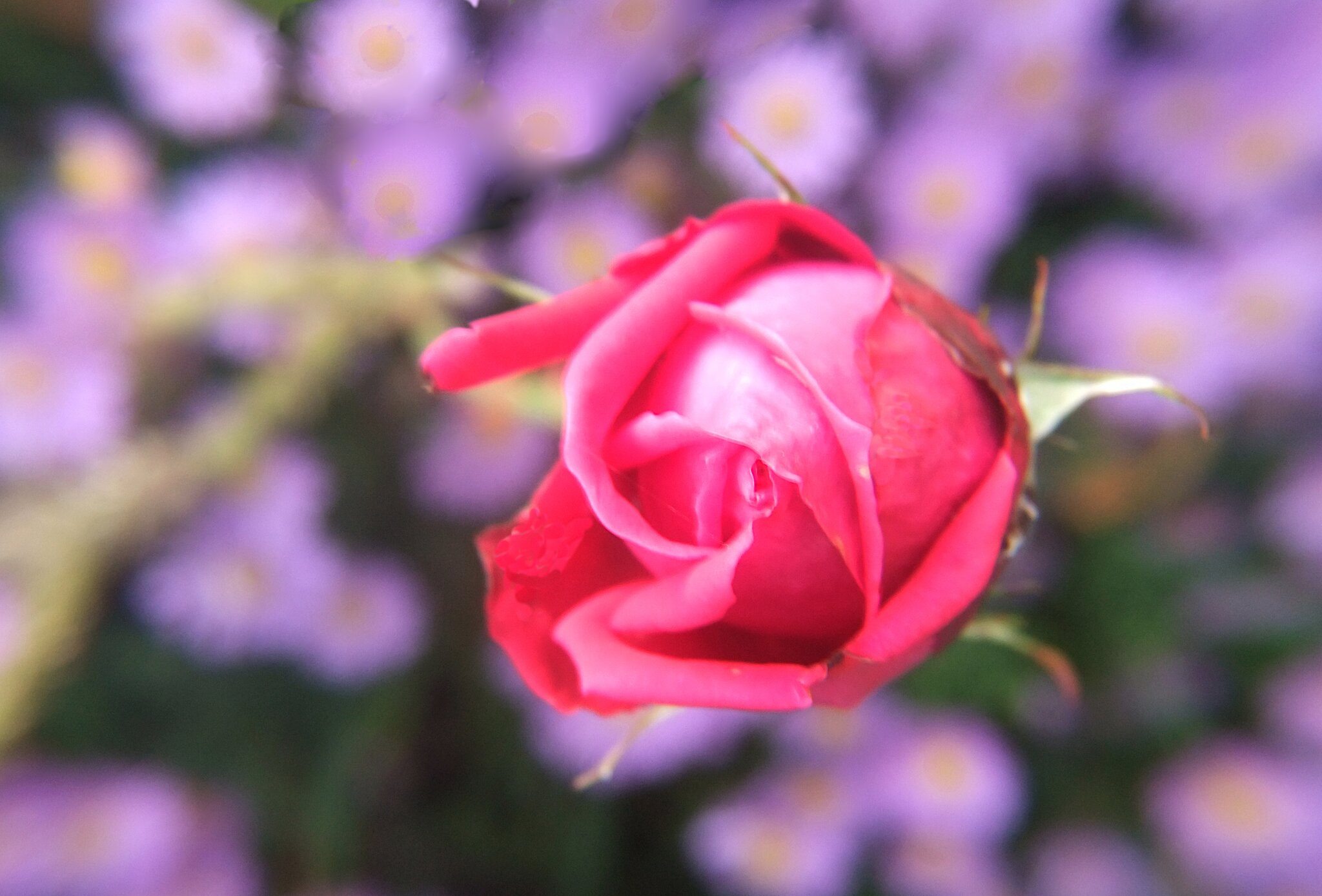 Wünsche allen ein erholsames und sonniges Wochenende
