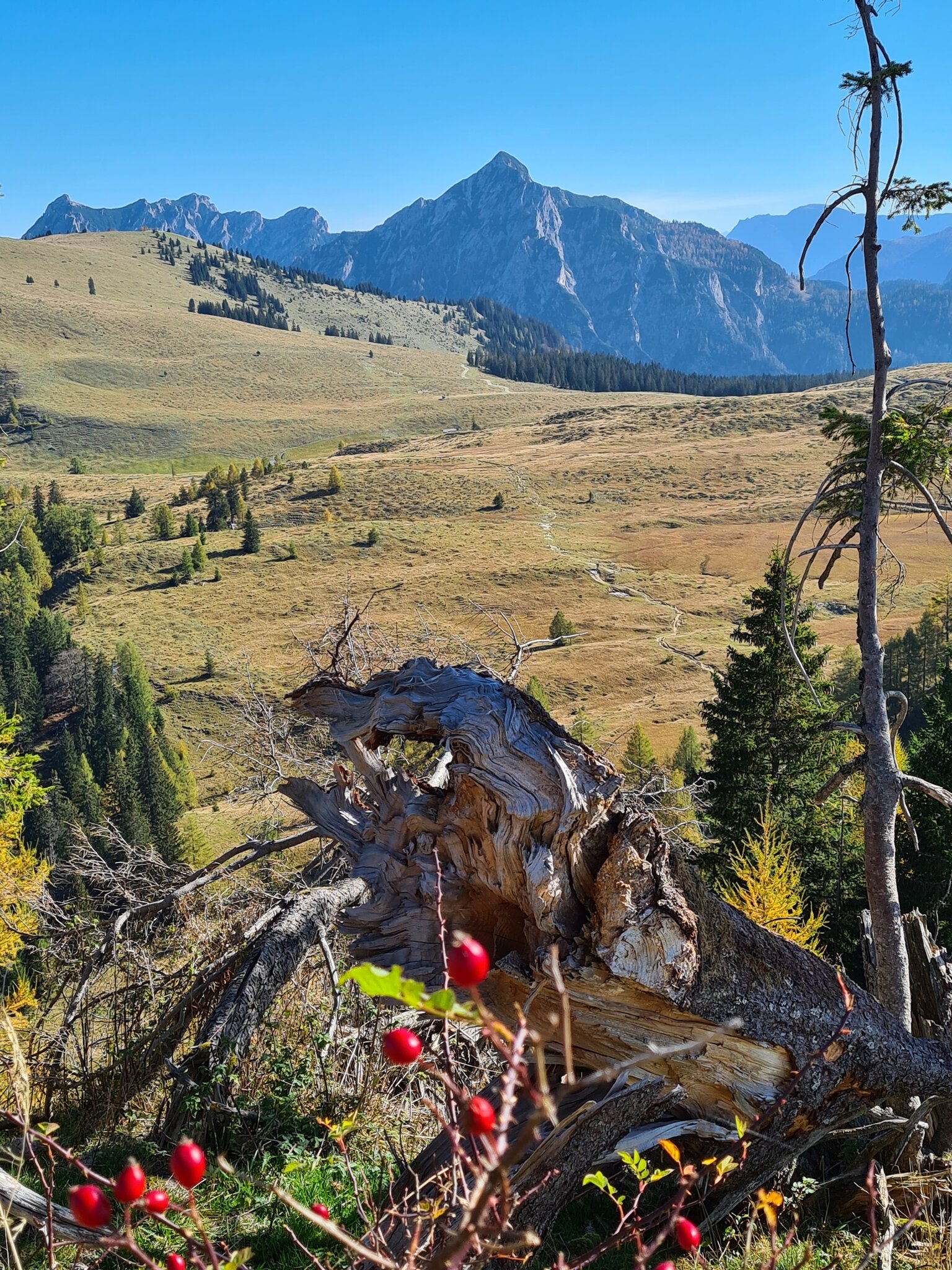 Wandern auf der Postalm