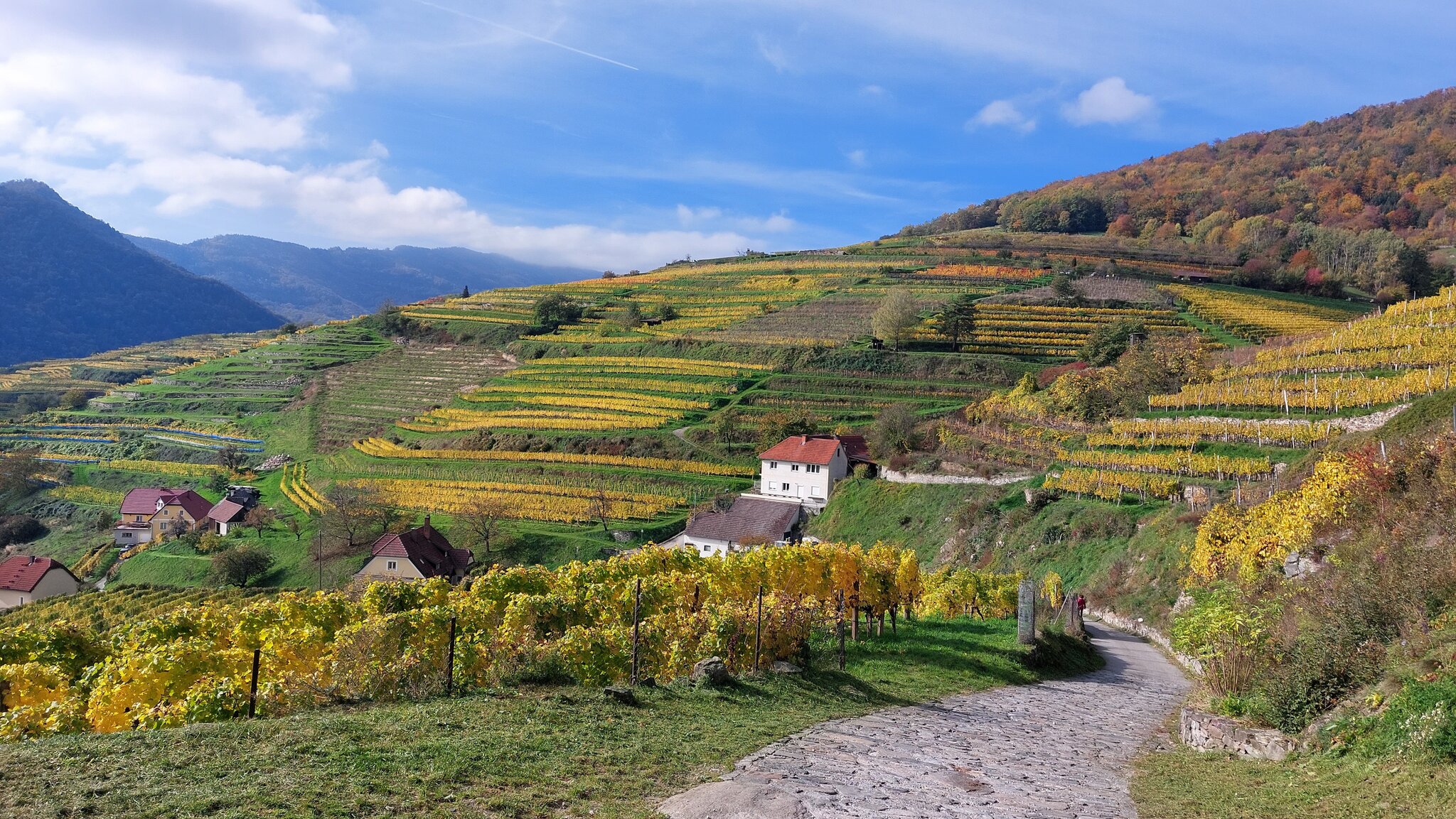 Herbst in der Wachau