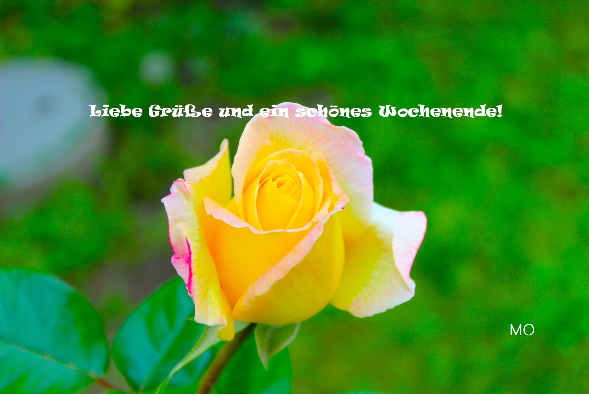 Liebe Grüße und ein schönes Wochenende!