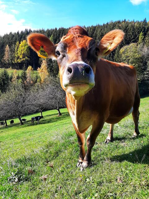 Feiertag
