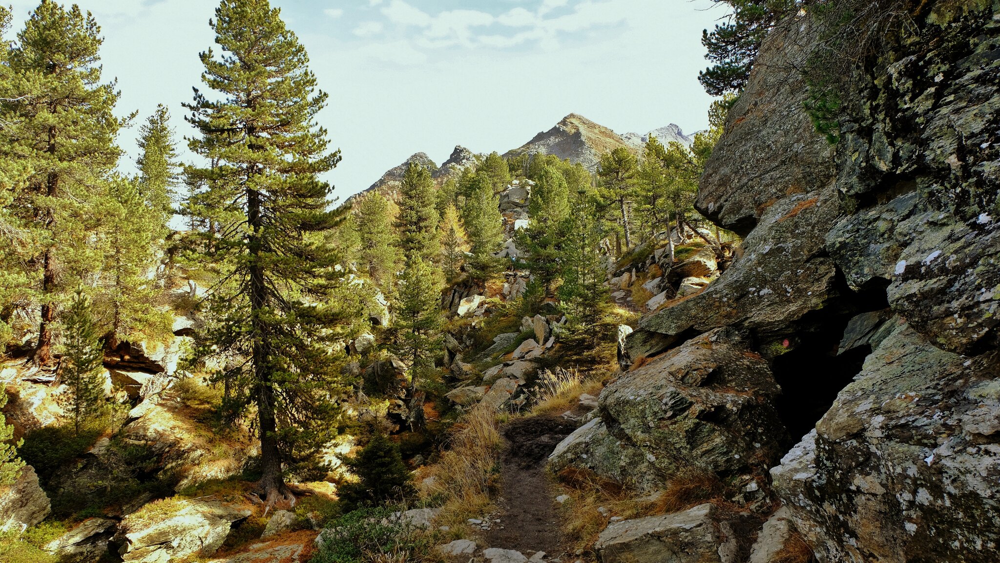 eine Genusswanderung....Zirbenweg am Patscherkofel