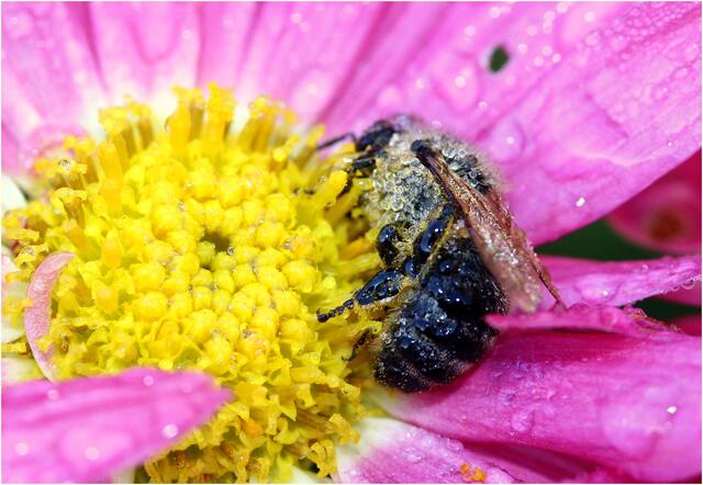 eine Nacht im Freien